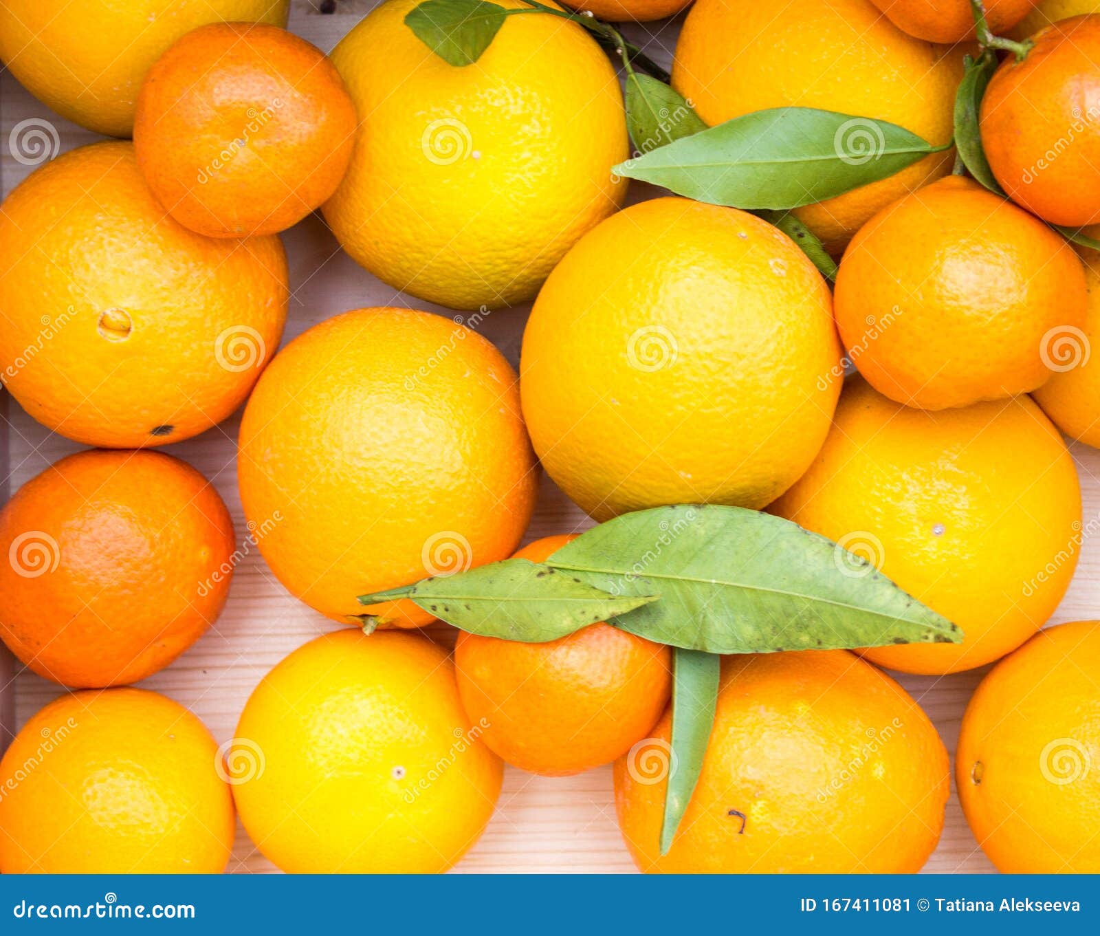 Oranges and Mandarin Inside of Wooden Box Stock Image - Image of nature ...
