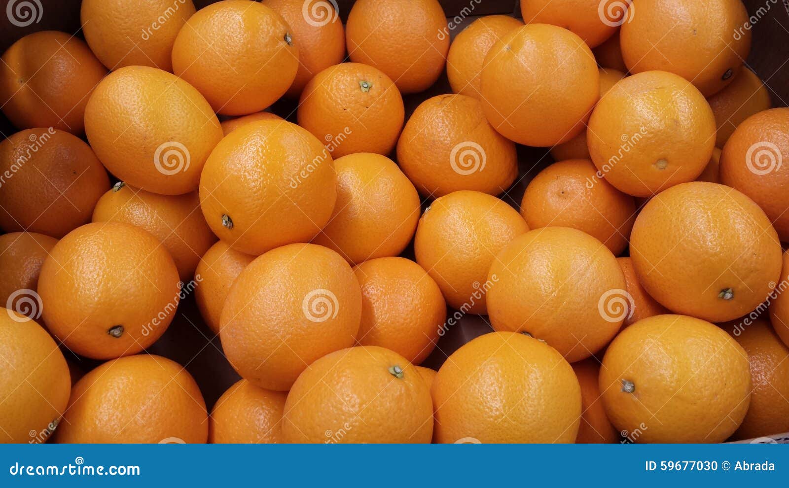 Oranges stock photo. Image of nature, orange, fruits - 59677030