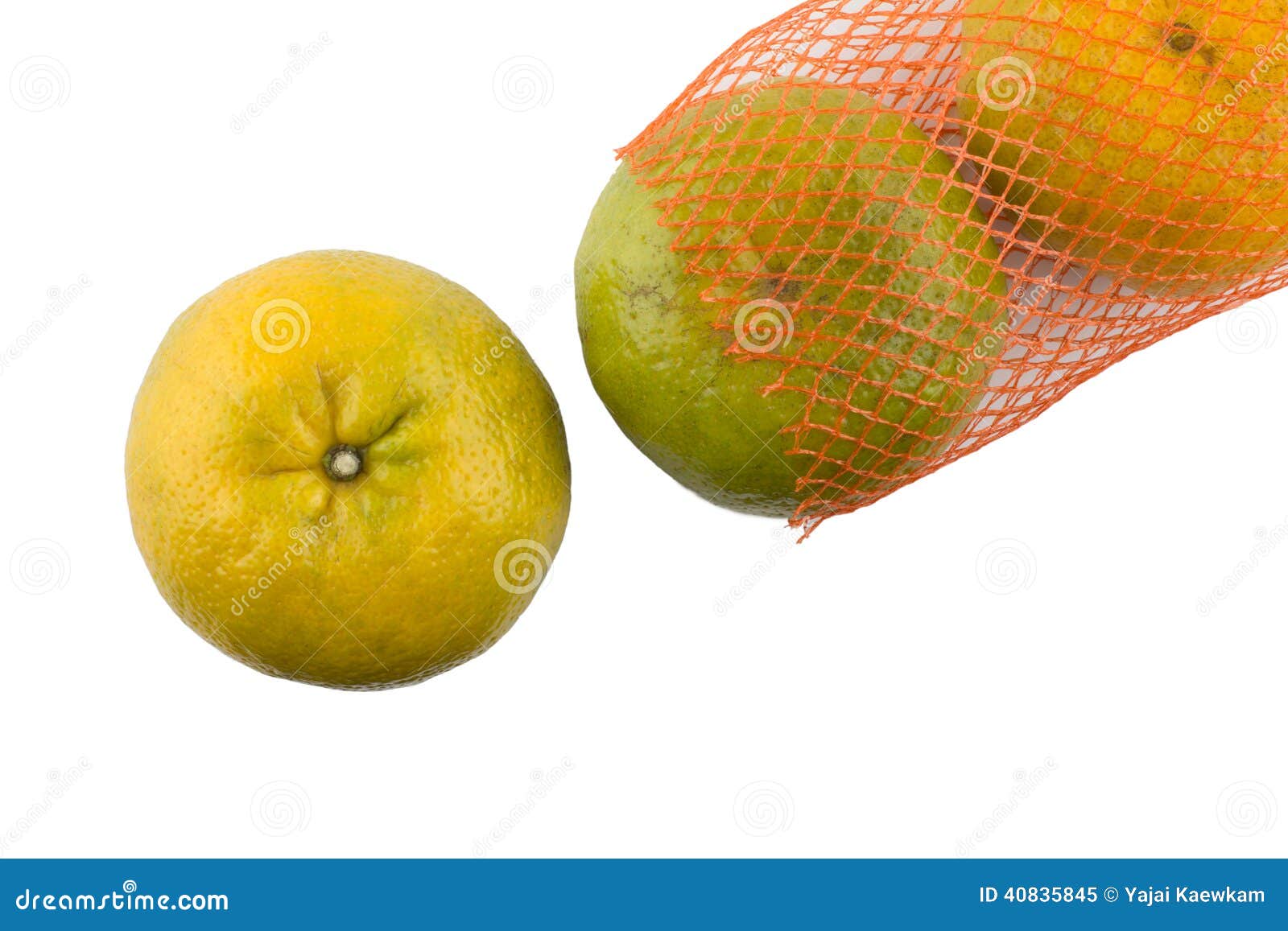 Oranges in net stock image. Image of vitamin, nature - 40835845