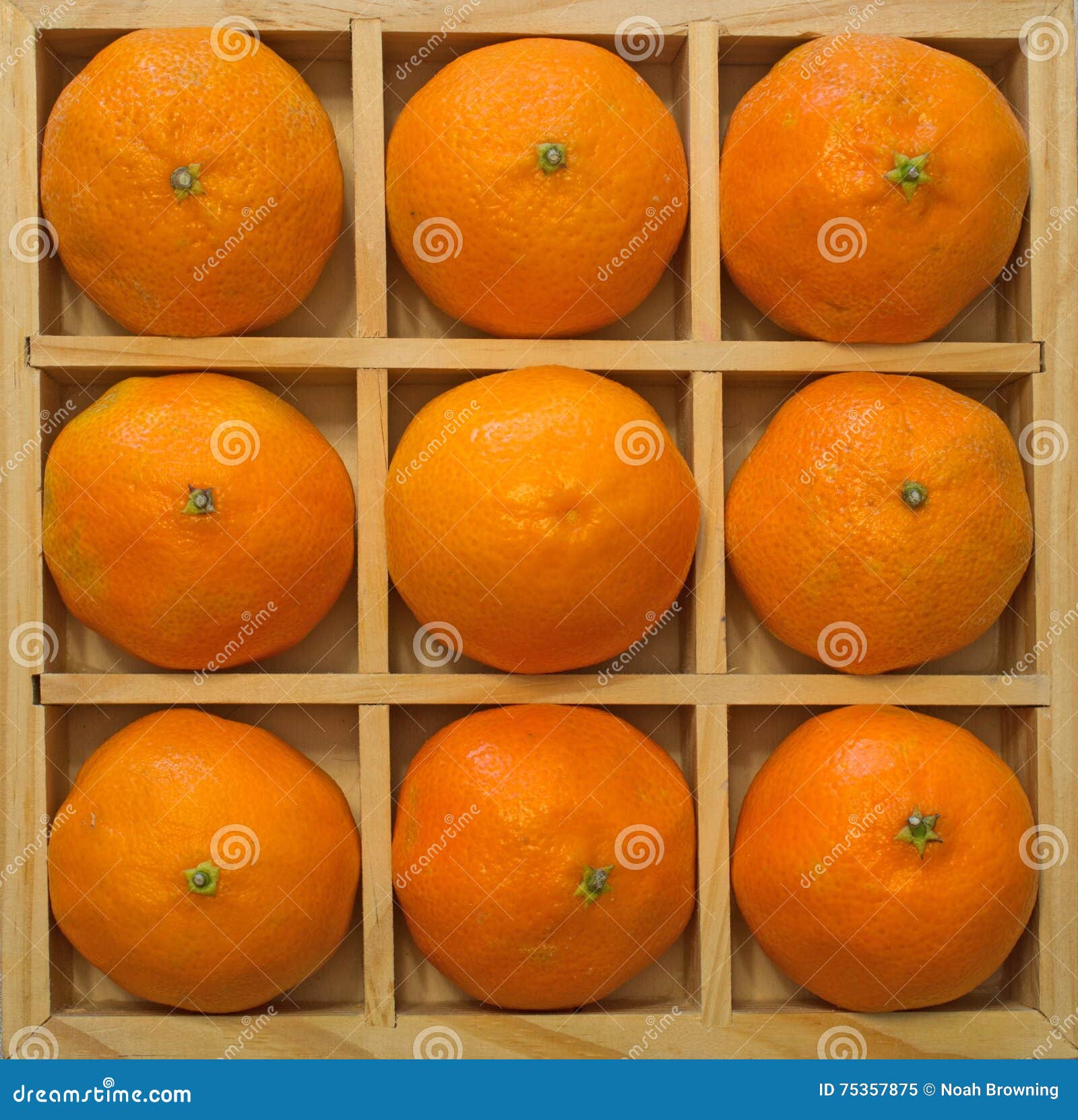 Oranges stock image. Image of orange, oranges, nestled - 75357875