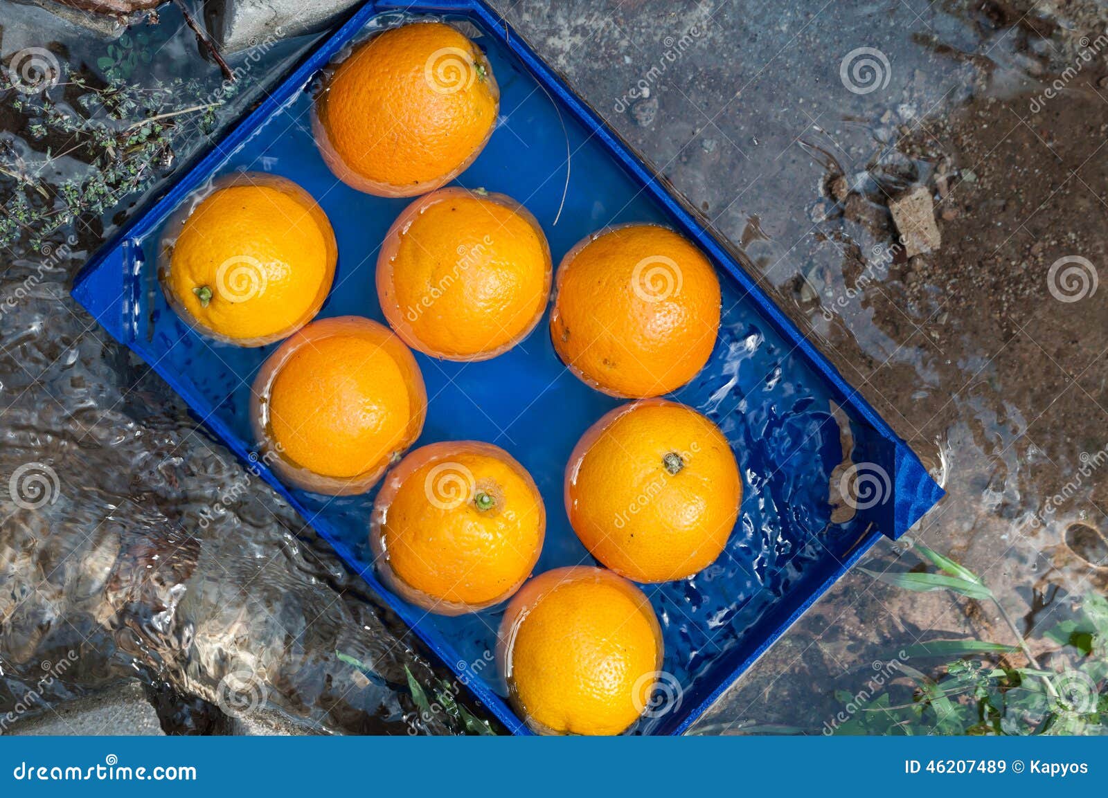 Oranges stock image. Image of mediterranean, agriculture - 46207489
