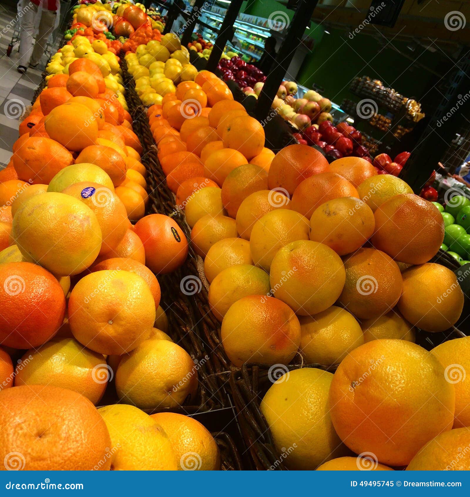 Oranges editorial image. Image of fruits, fresh, oranges - 49495745