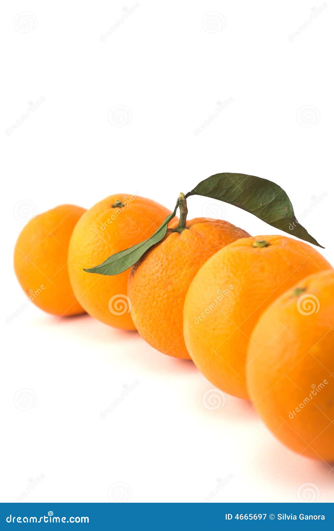 Oranges in a row stock image. Image of juice, juicy, line - 4665697