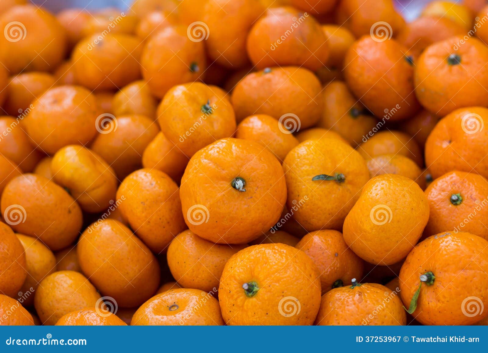 Oranges stock image. Image of orange, health, tasty, sale - 37253967