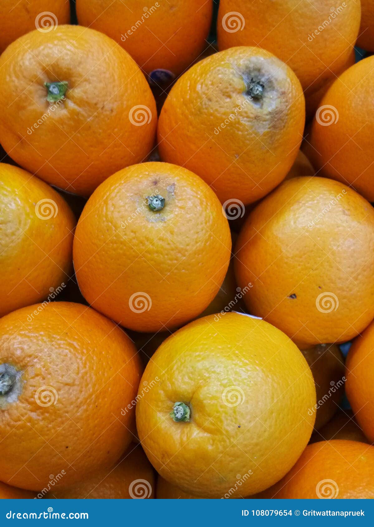 Oranges stock photo. Image of oranges, local, nature - 108079654