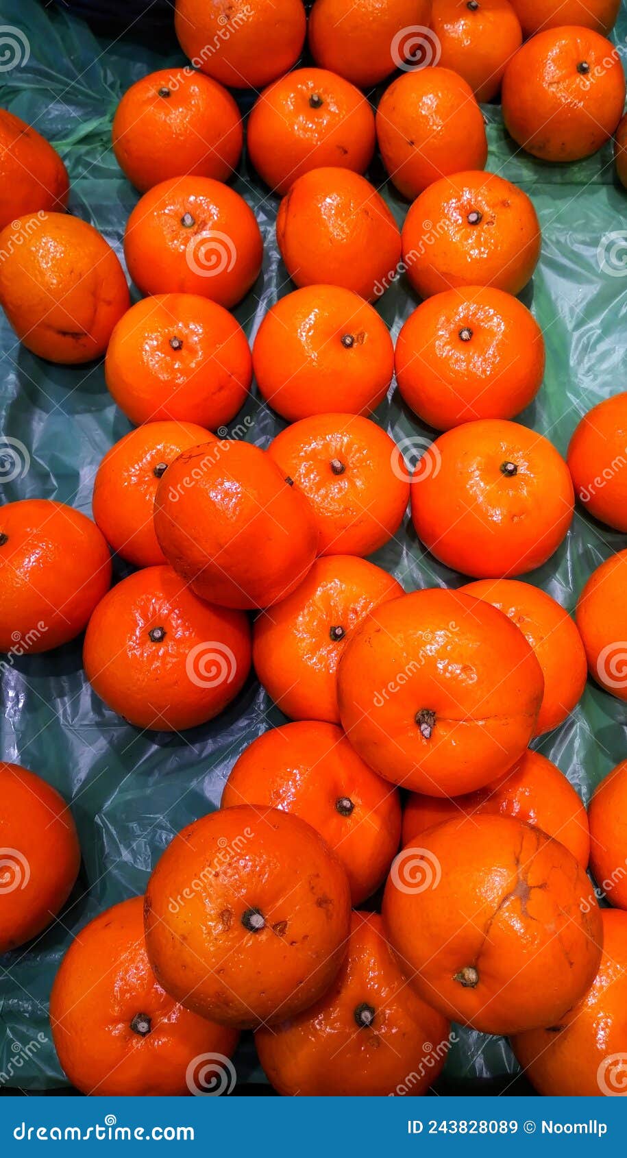 Oranges in the supermarket stock image. Image of food - 243828089