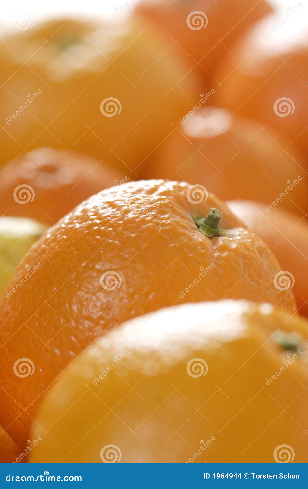 Oranges and tangerines stock photo. Image of oranges, fruits - 1964944