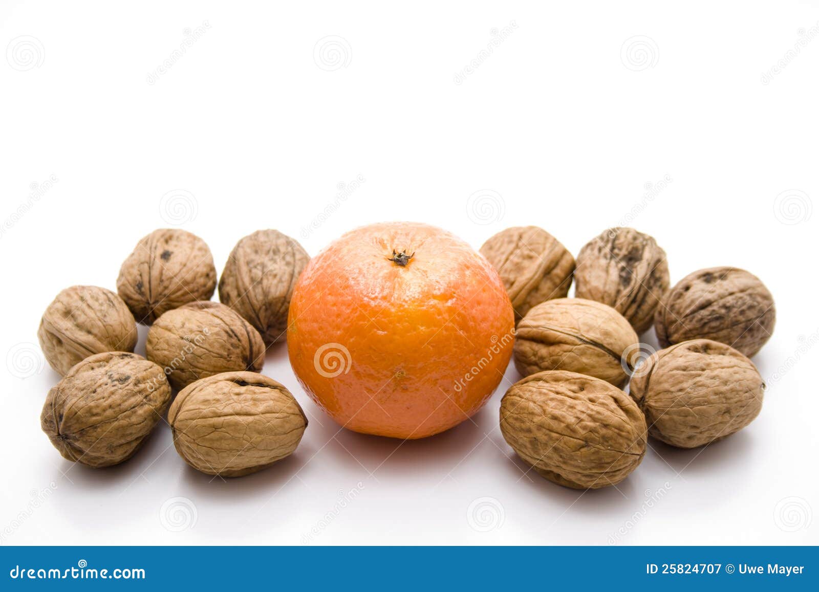 Oranges with walnuts stock image. Image of orange, healthy - 25824707