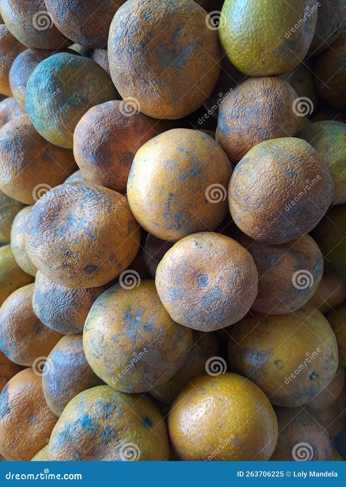 Oranges Withered and Not Fresh Stock Image - Image of storage, citrus ...