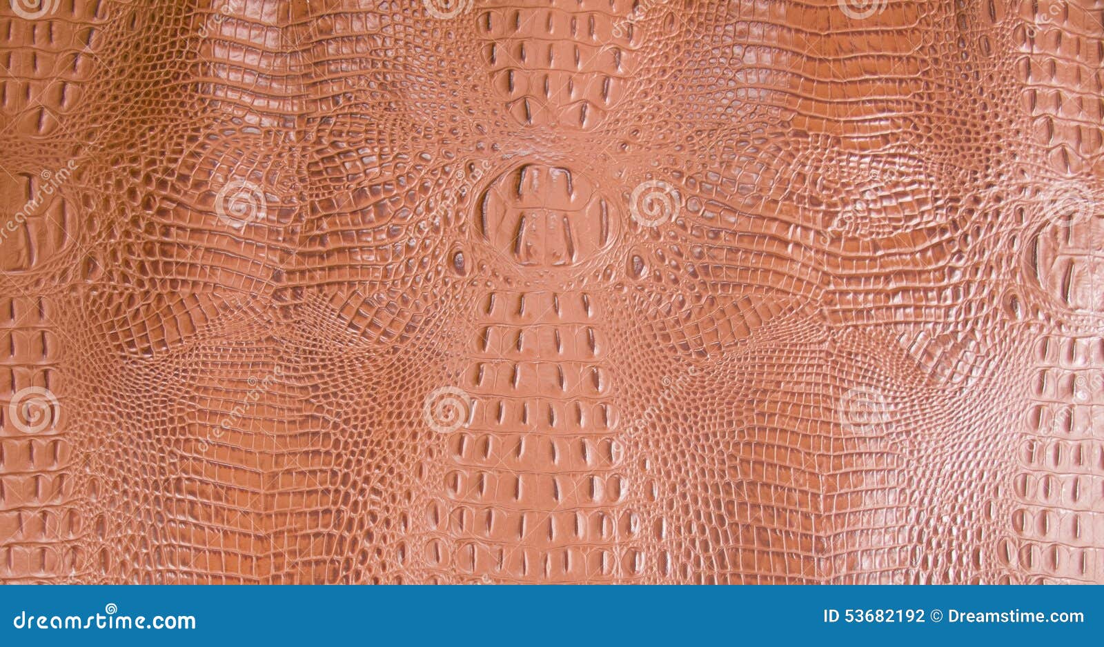Orangish Embossed Gator Leather Texture Stock Photo - Image of leather ...