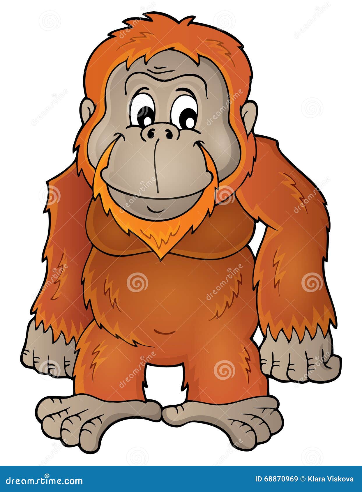 Orangutan Royalty-Free Stock Image | CartoonDealer.com #28046206