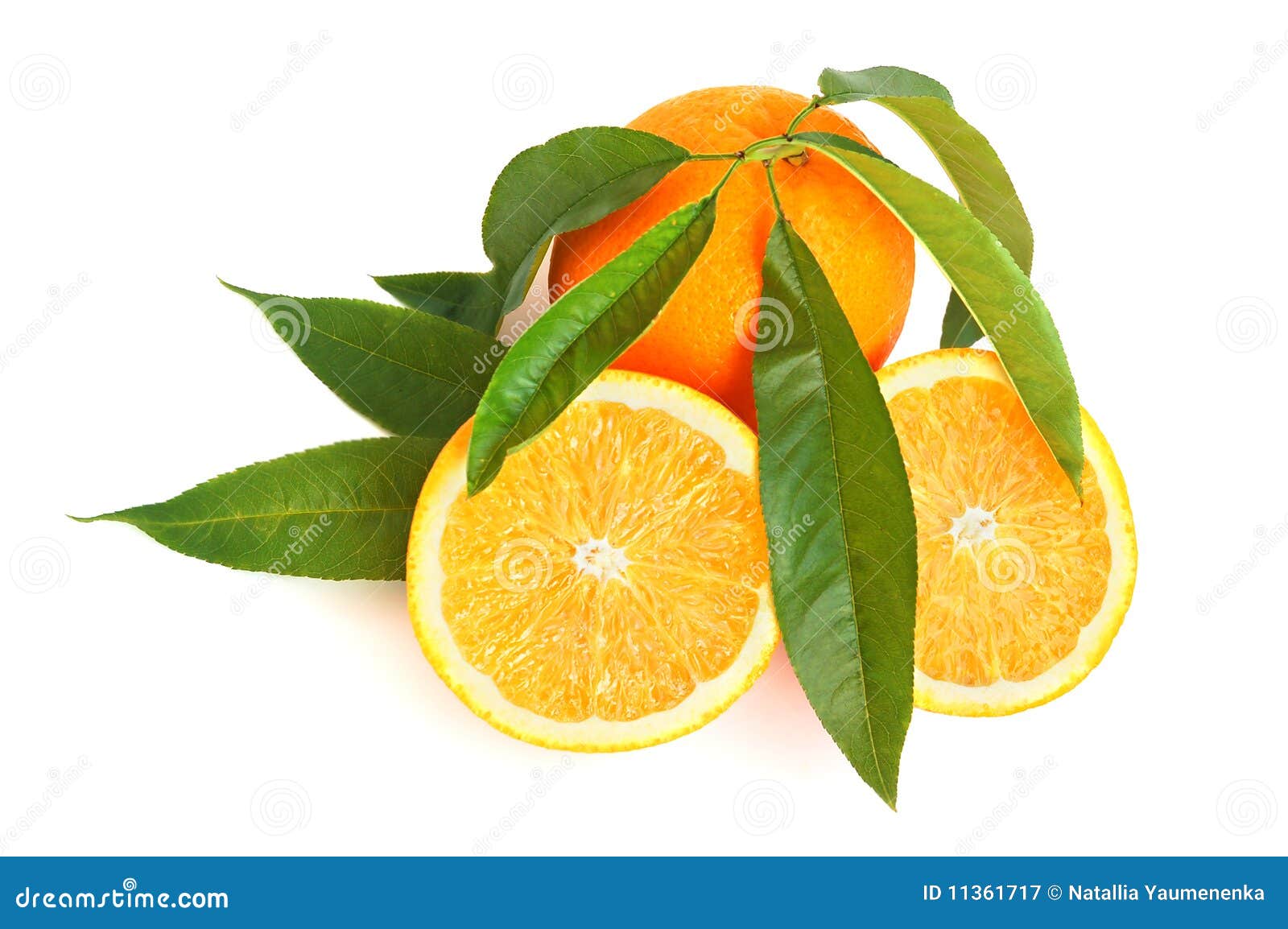 Oranje citrusvrucht stock afbeelding. Image of sectie - 11361717