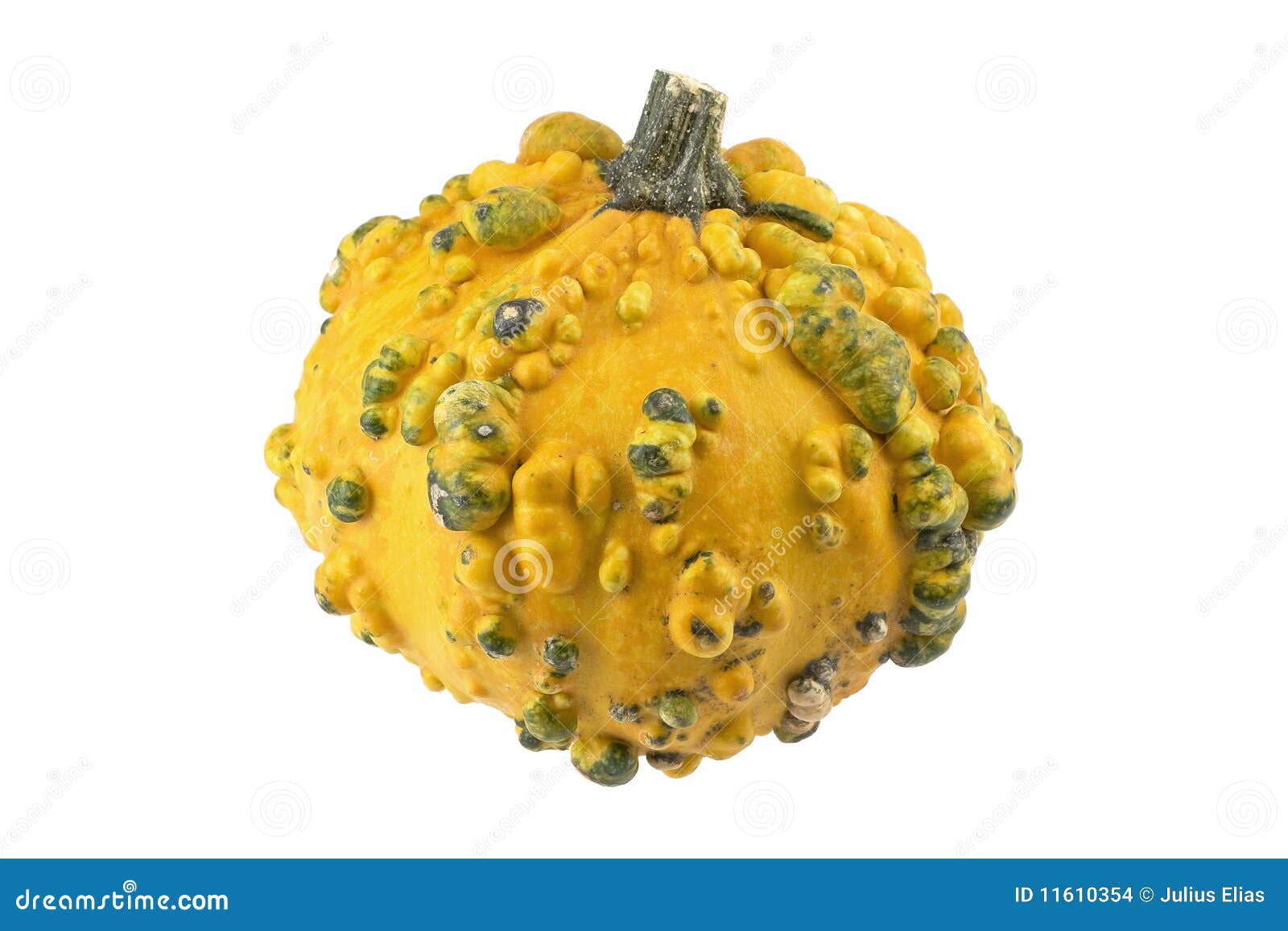 Oranje SierPompoen stock foto. Image of landbouw, organisch - 11610354