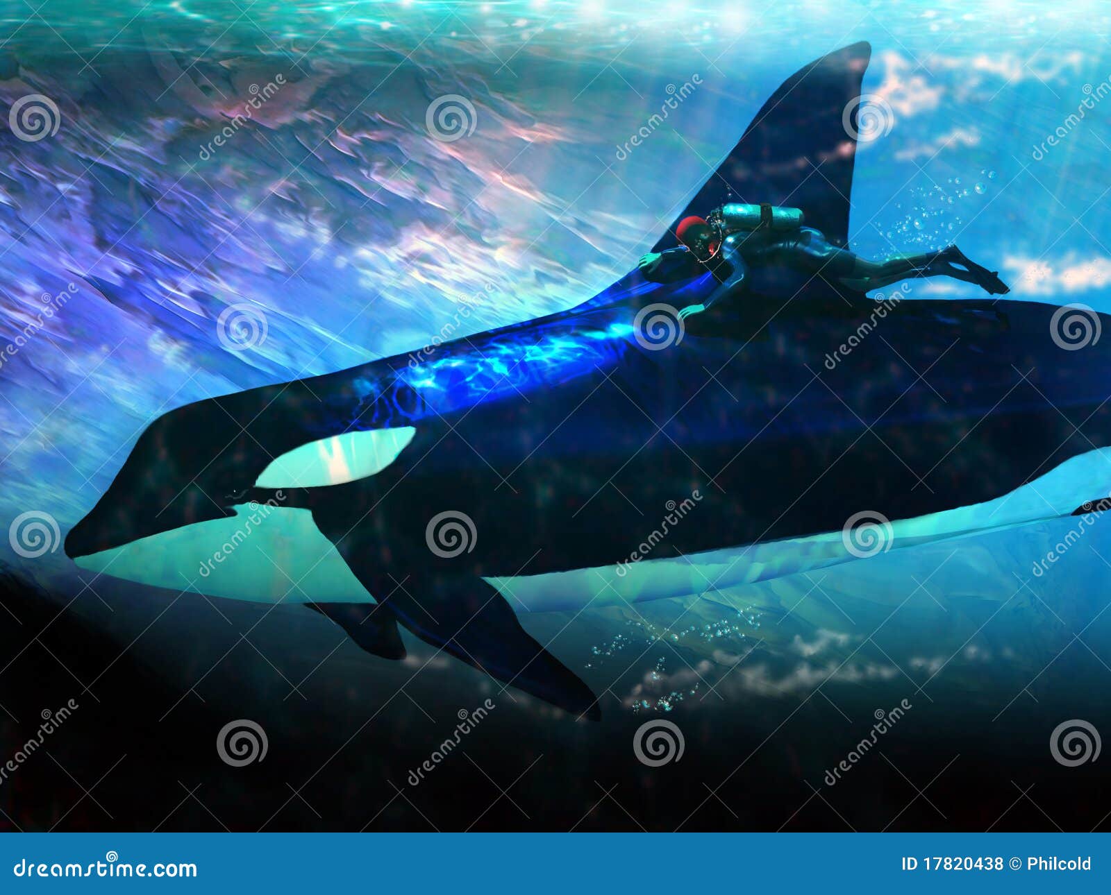 Orca and diver stock illustration. Illustration of submarine - 17820438