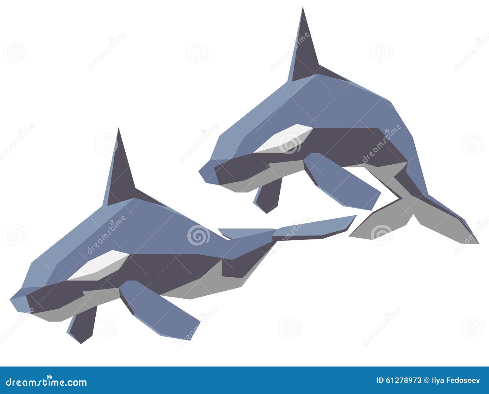 Orca stock vector. Illustration of mammal, nature, color - 61278973