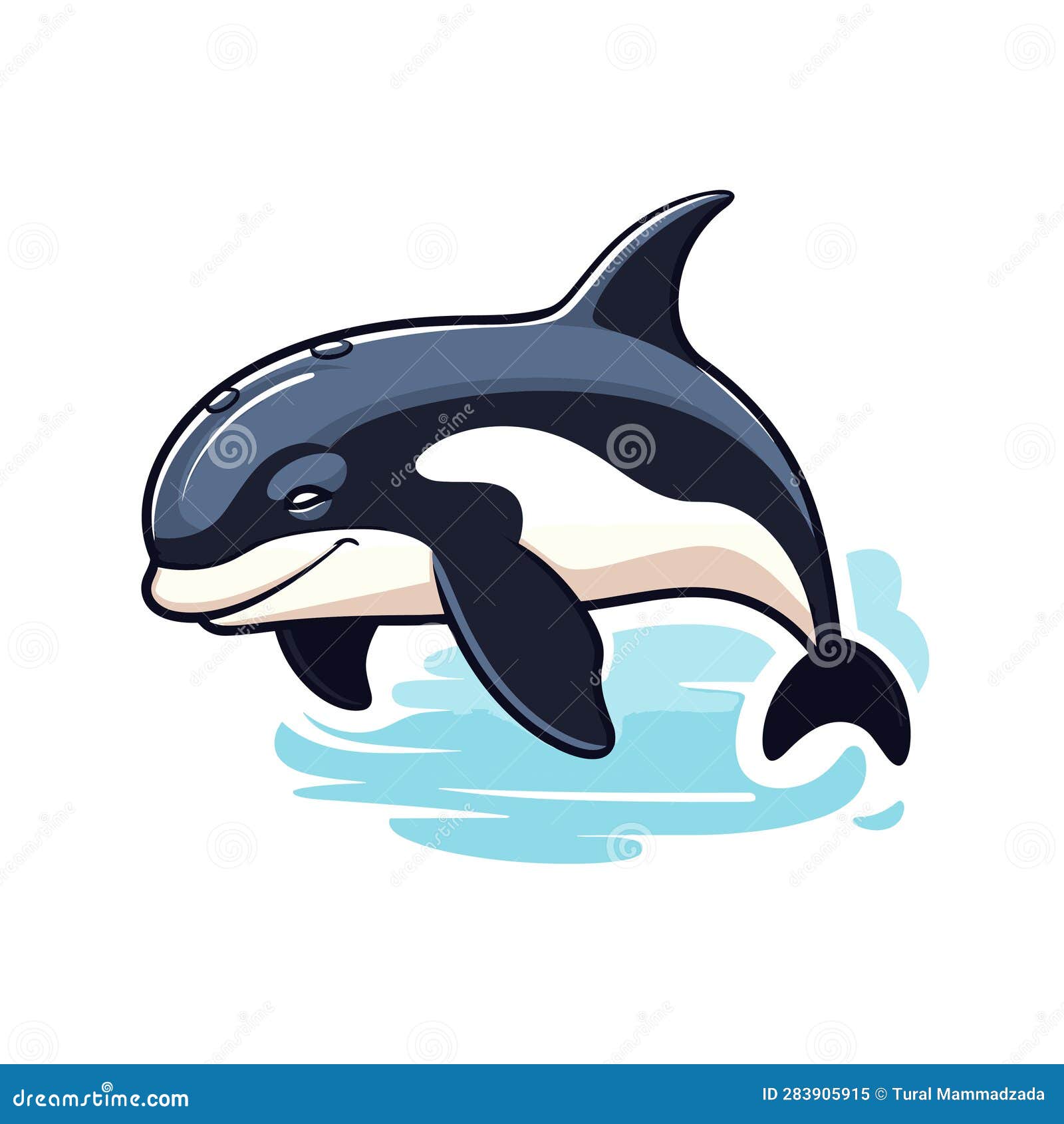 Vector of a Majestic Orca Leaping Out of the Water in a Graceful Arc ...