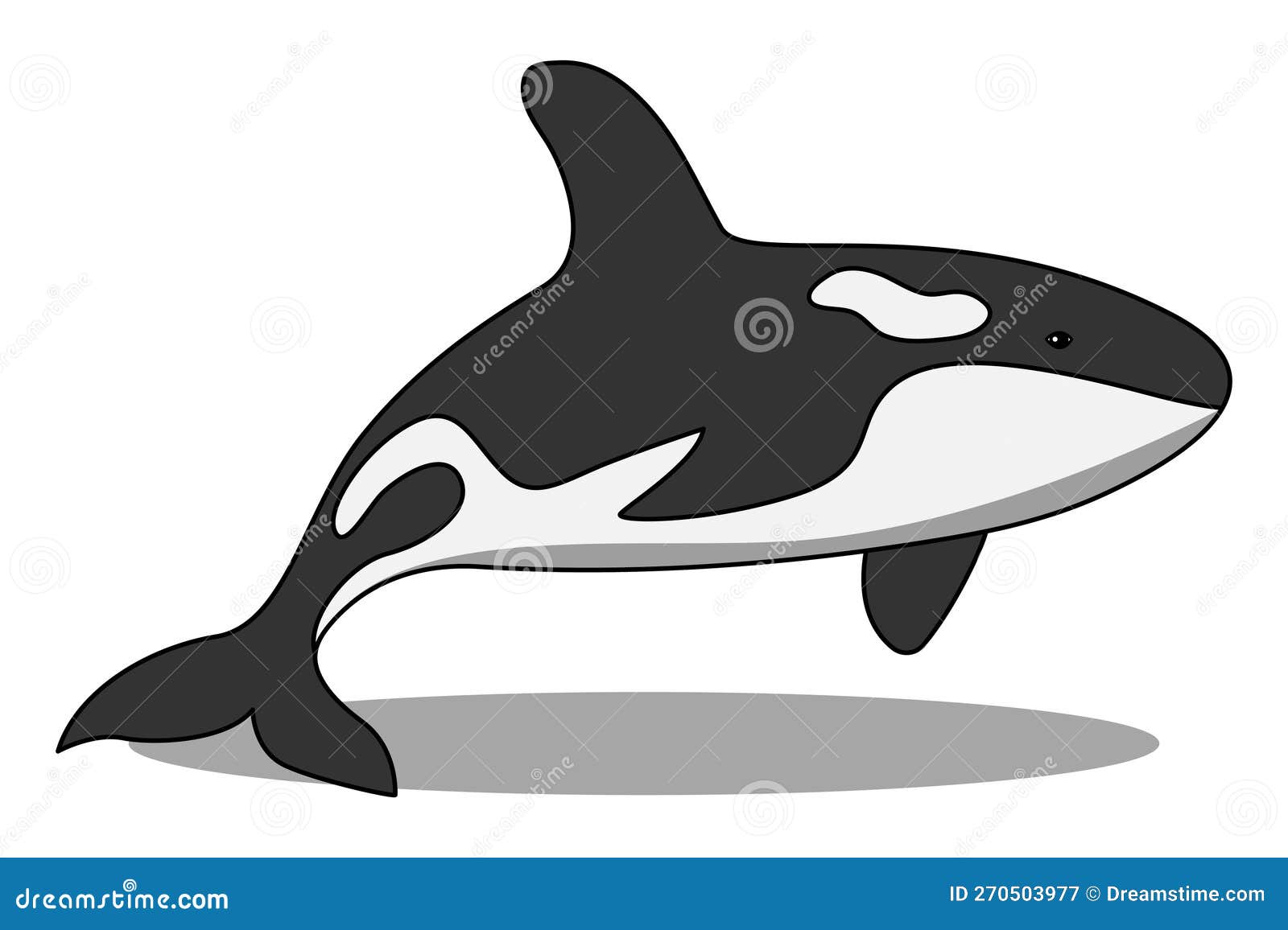 Orca or Killer Whale Vector Stock Vector - Illustration of fish, mammal ...