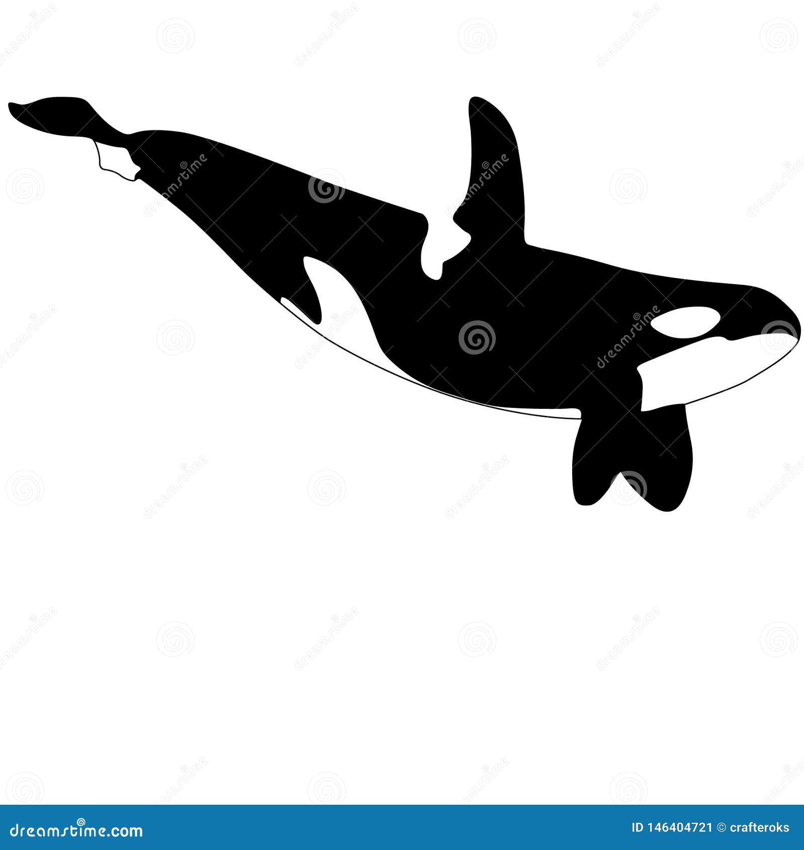 Orca Killer Whale Illustration by Crafteroks Stock Vector ... Orca Killer Whale Illustration by Crafteroks Stock Vector ...