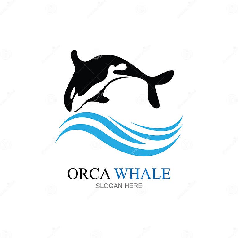 Orca Logo Vector Illustration on Trendy Design Stock Vector ...
