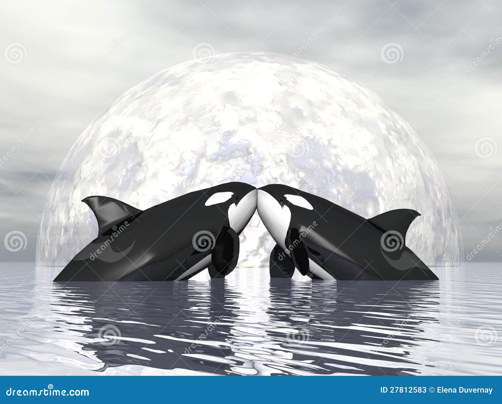 Orca love - 3D render stock illustration. Illustration of background ...