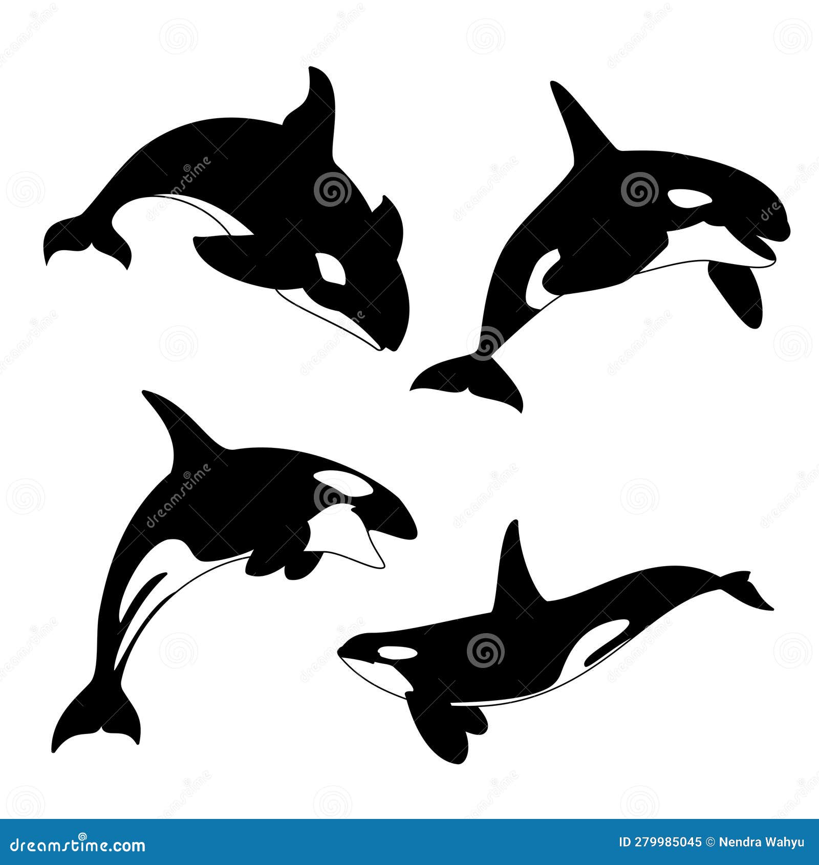 Orca Silhouette Vector Illustration. Stock Vector - Illustration of ...