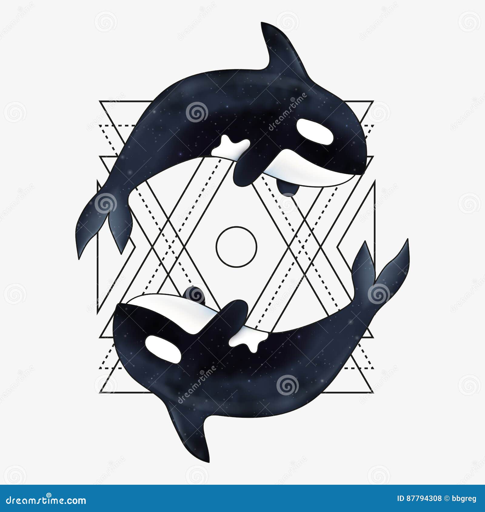 Orca Vector Illustration. Marine Mammal. Killer Whale with Abstract ...