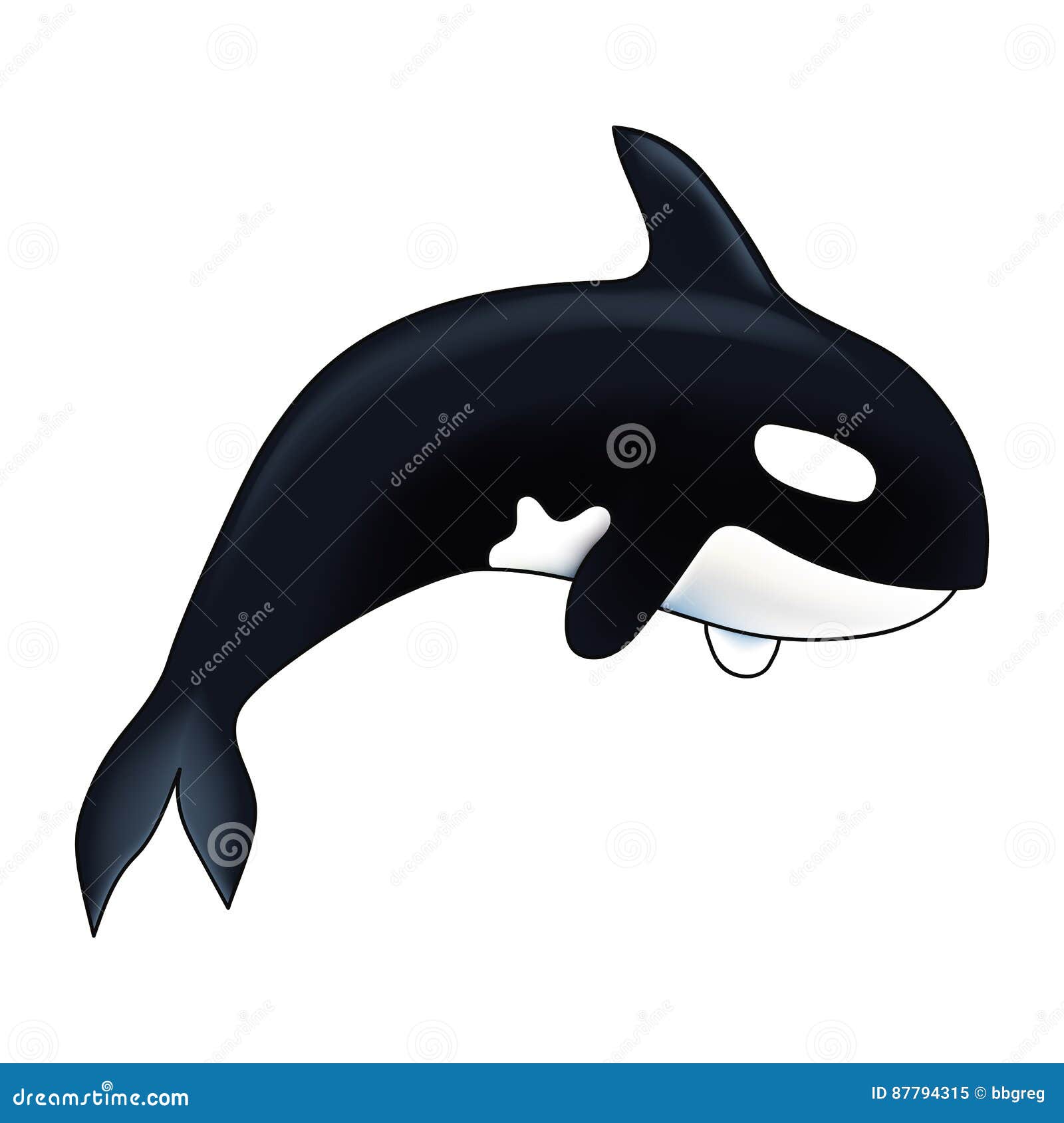 Orca Vector Illustration. Marine Mammal. Killer Whale. On White ...
