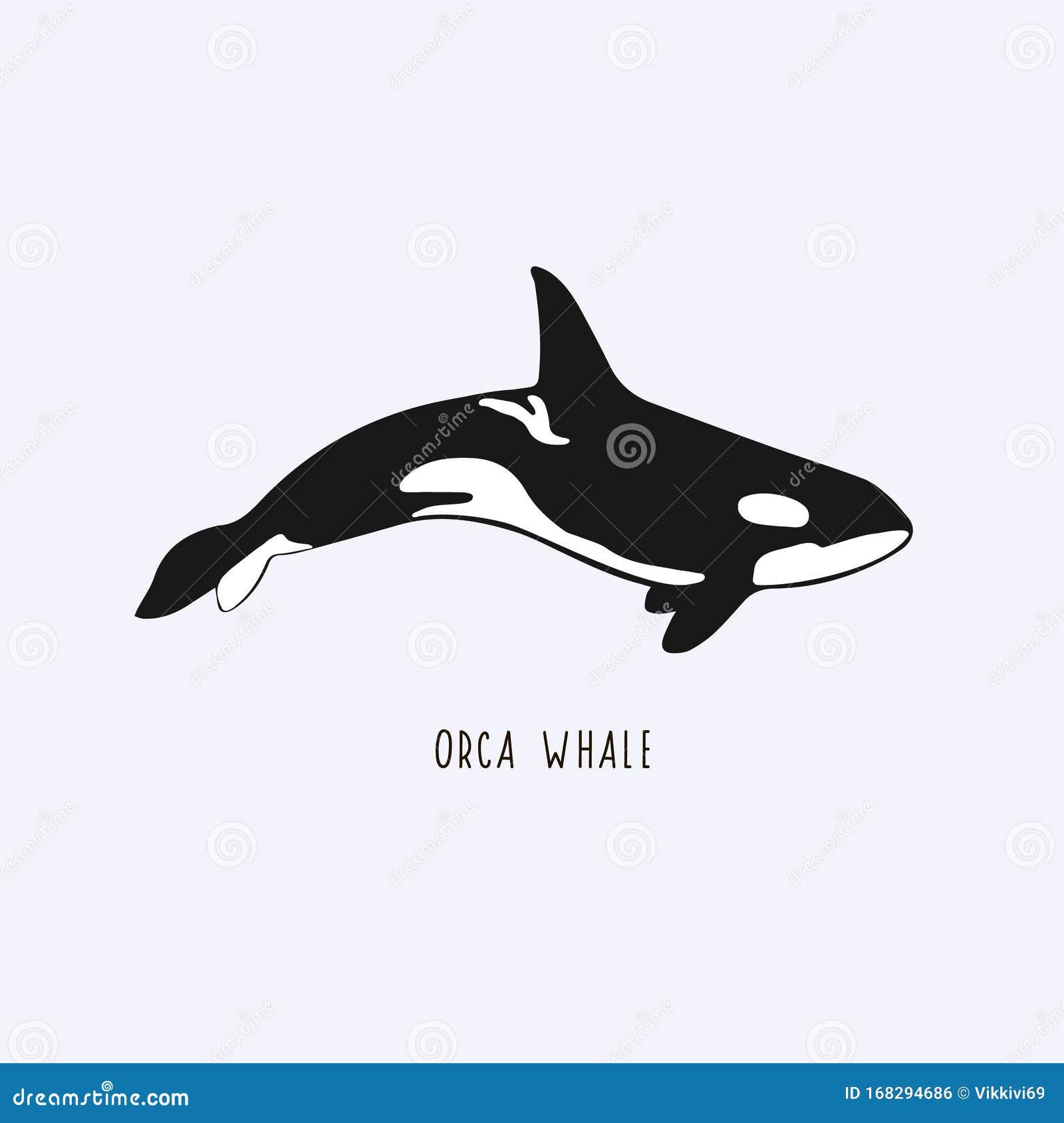 Orca Whale. Vector Drawing of a Killer Whale Stock Illustration ... Orca Whale. Vector Drawing of a Killer Whale Stock Illustration ...