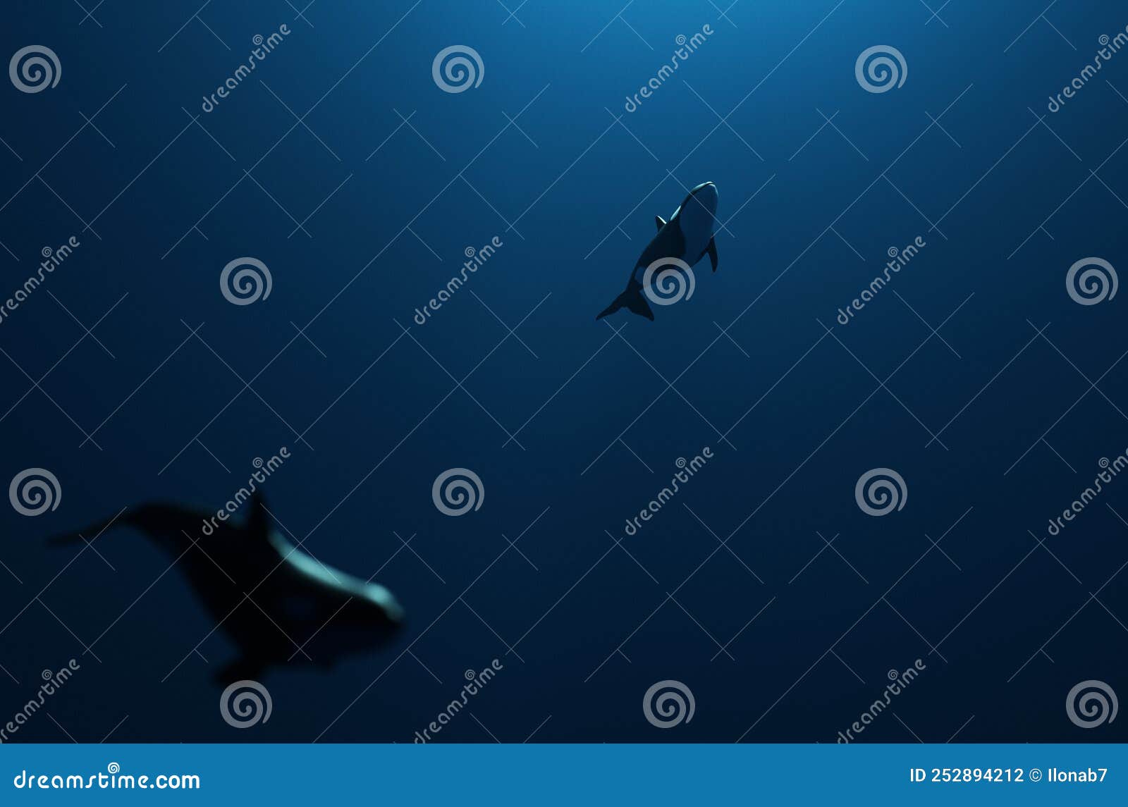 Orca Whales Spouting Stock Photo | CartoonDealer.com #84990060