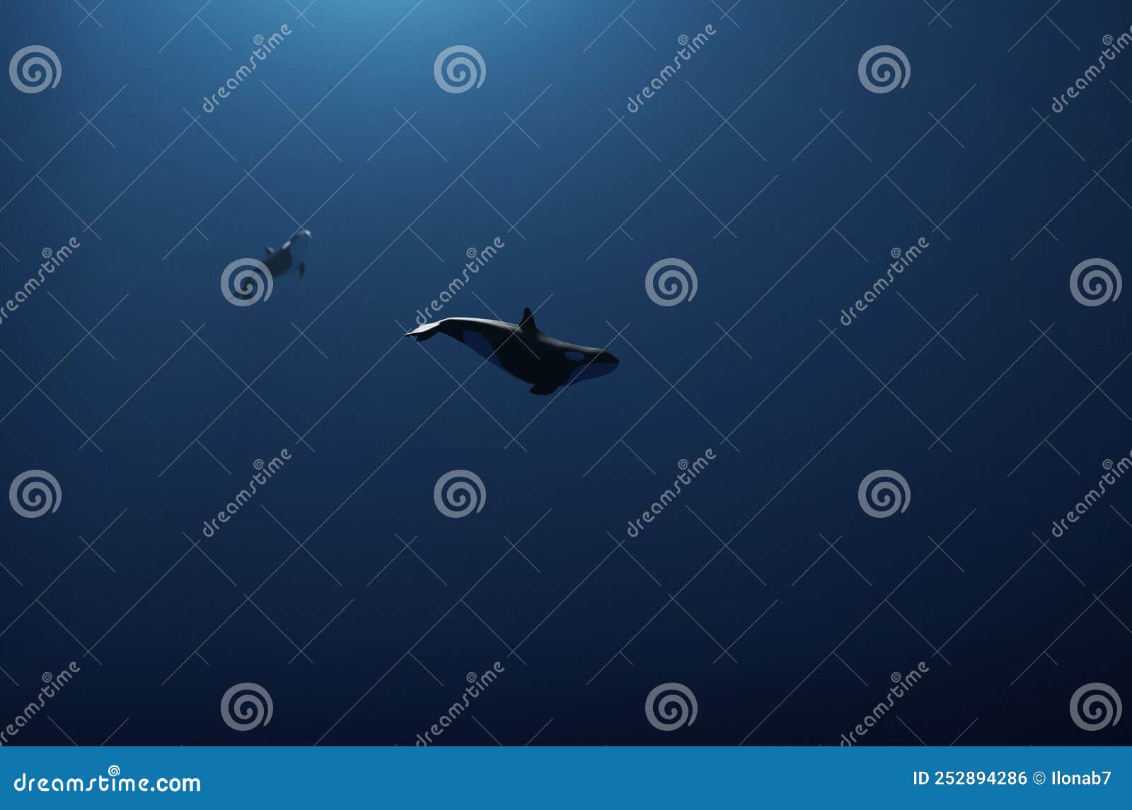 Orca Whales Spouting Stock Photo | CartoonDealer.com #84990060