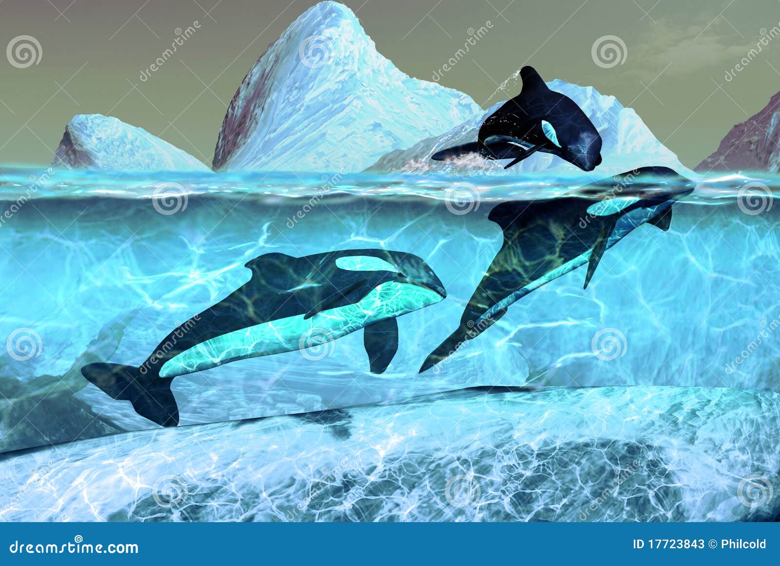 Orca II Stock Image | CartoonDealer.com #30903265
