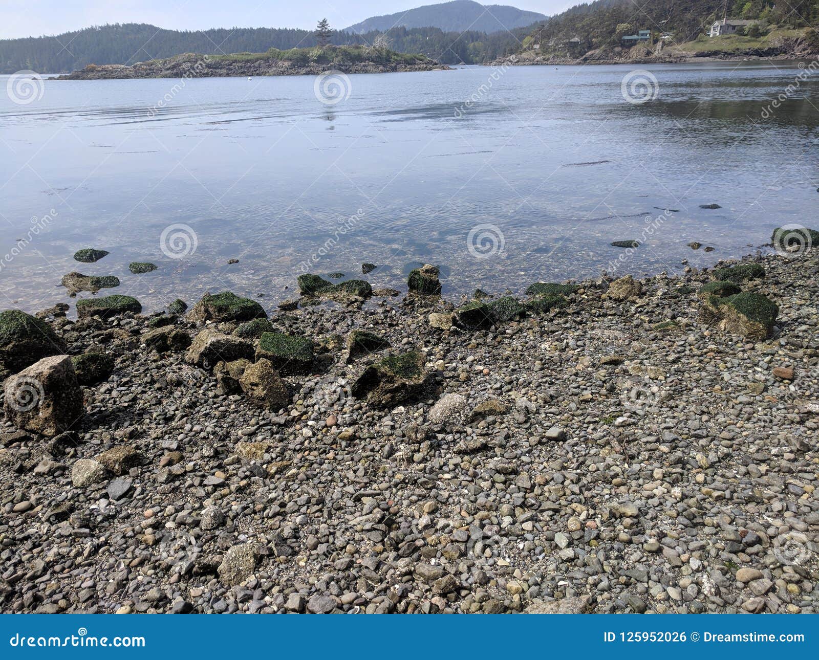 Orcas Beach stock photo. Image of orcas, washington - 125952026