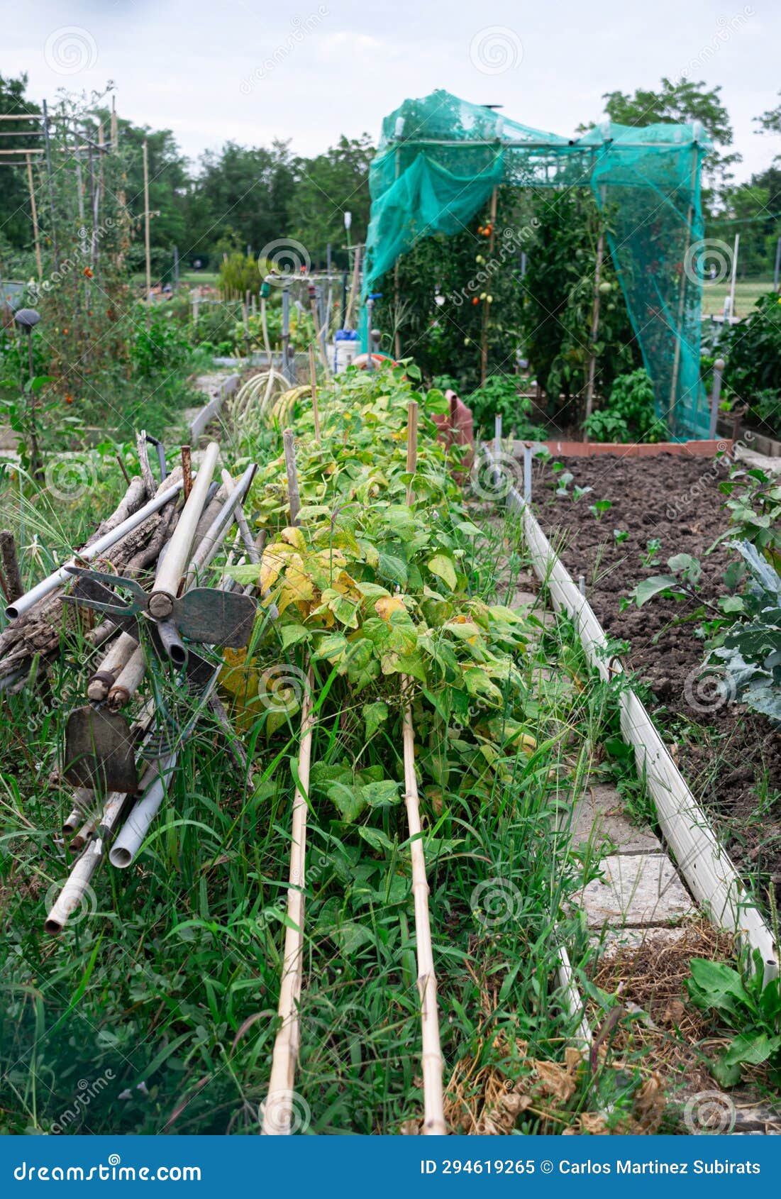 Orchard and Cultivation Area Ecological Personal for Biological Self ...