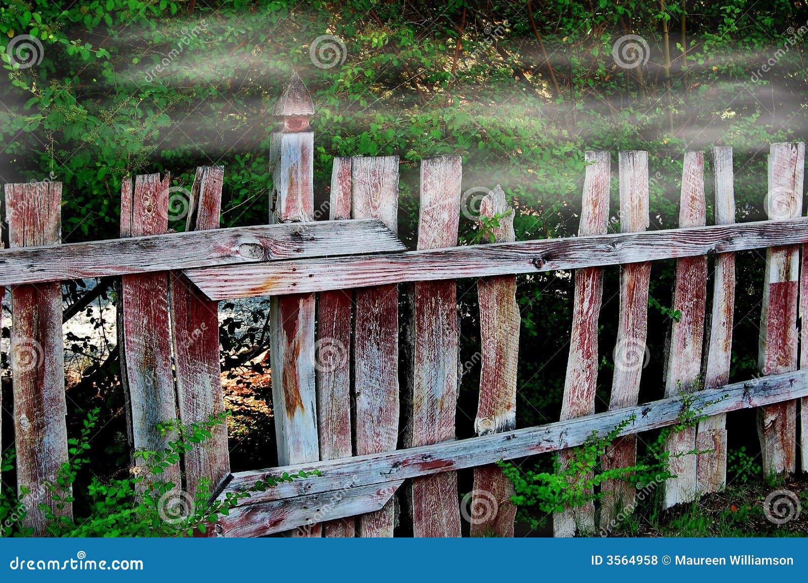 Orchard fence stock photo. Image of morning, mountain - 3564958