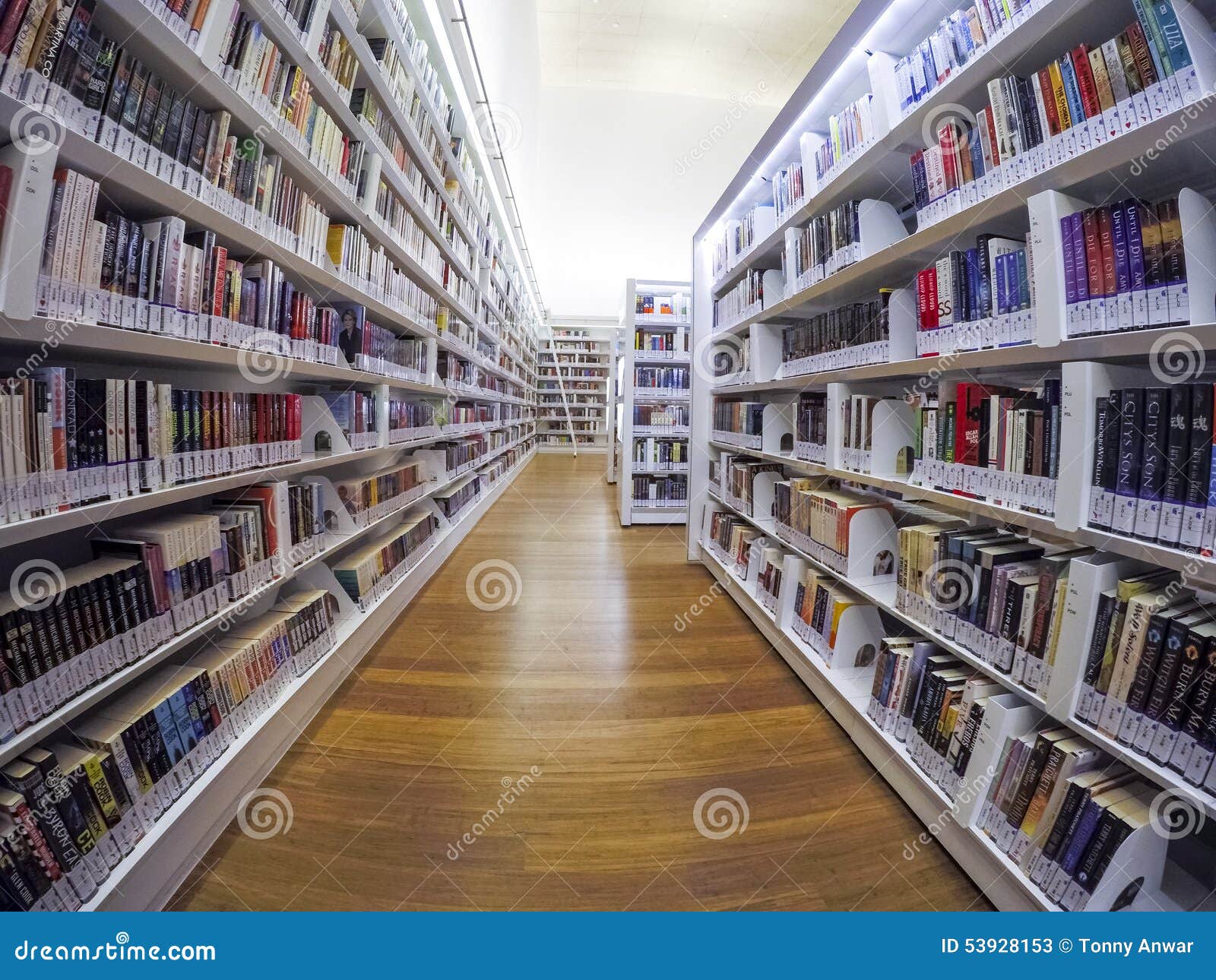 Orchard Library editorial stock photo. Image of curve - 53928153