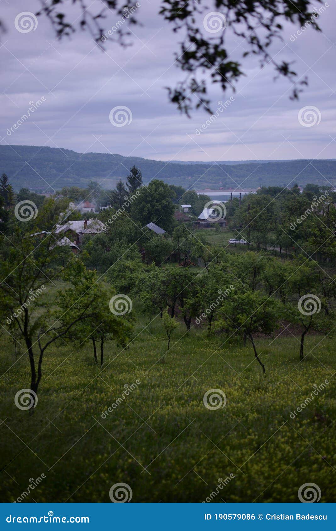 Orchard in a Story Sequence during the Spring Stock Photo - Image of ...