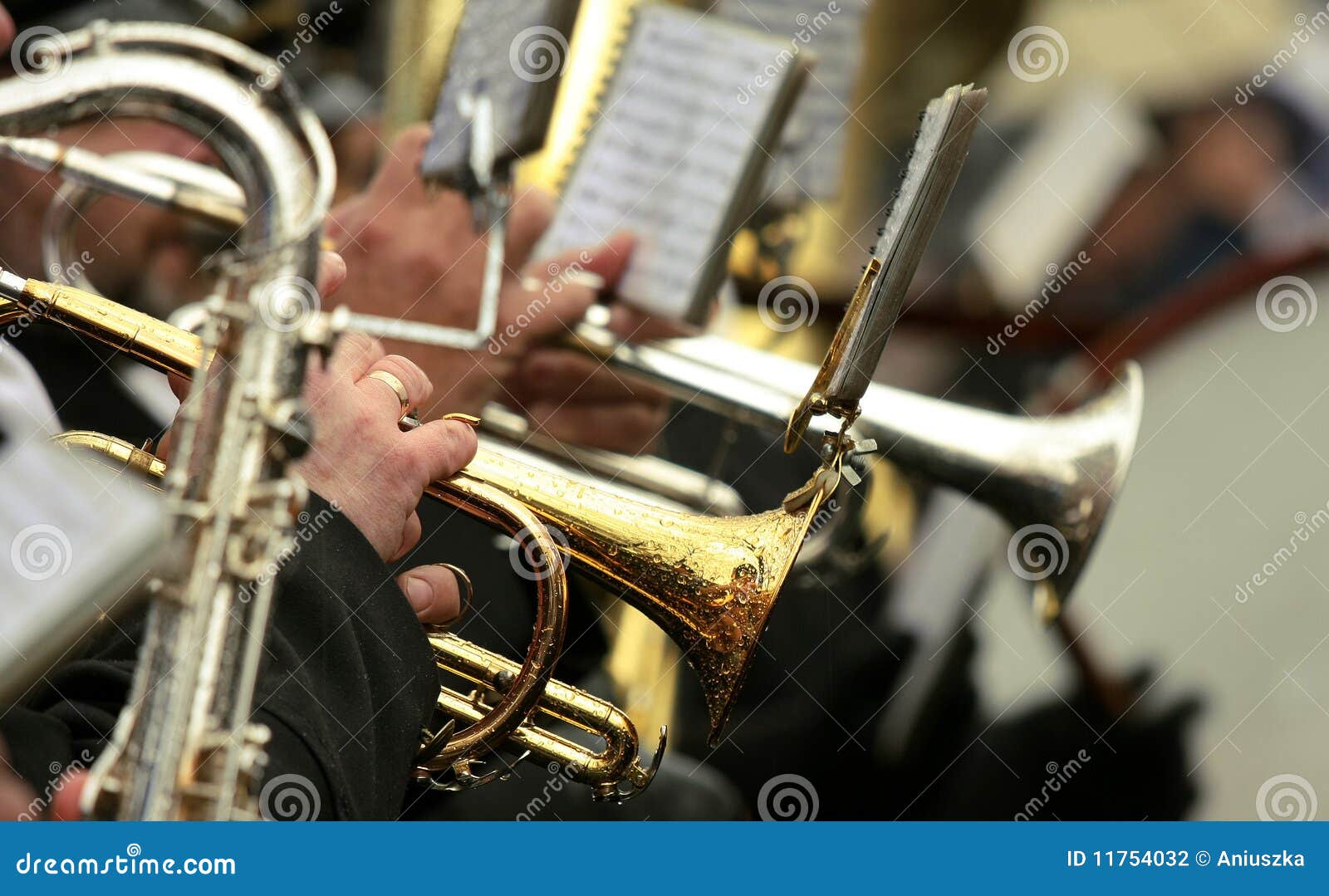 Orchestra stock photo. Image of melody, classical, gold - 11754032
