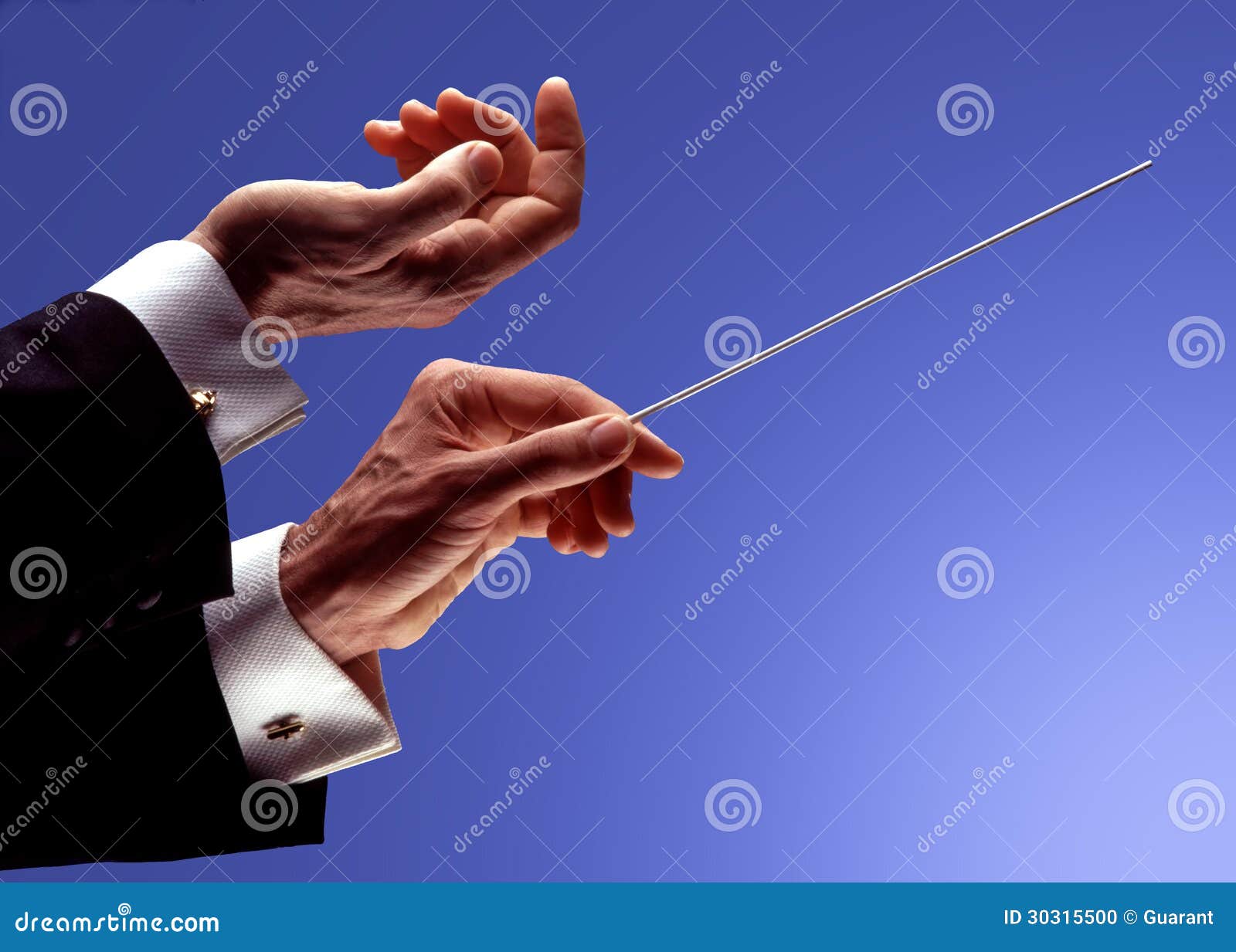 Orchestra conductor hands stock photo. Image of melody - 30315500