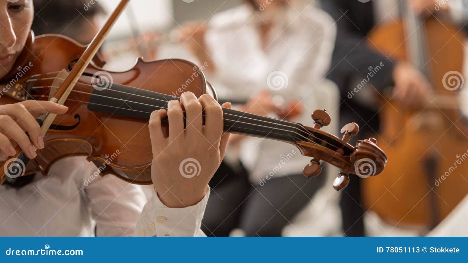 Orchestra String Section Performing Stock Image - Image of strings ...