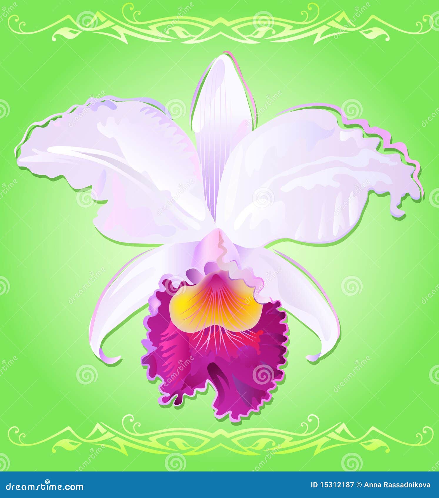 Orchid stock vector. Illustration of green, painting - 15312187