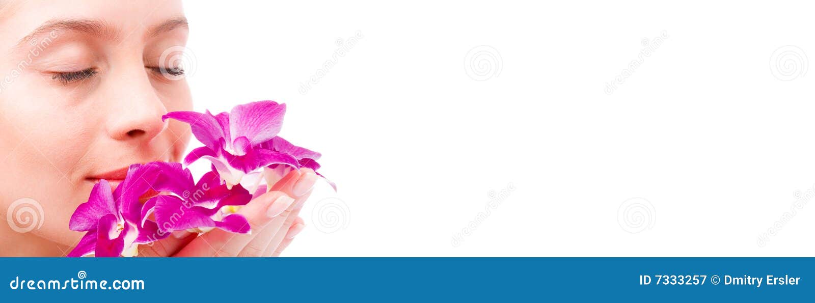 Orchid banner stock image. Image of aroma, lovely, clean - 7333257