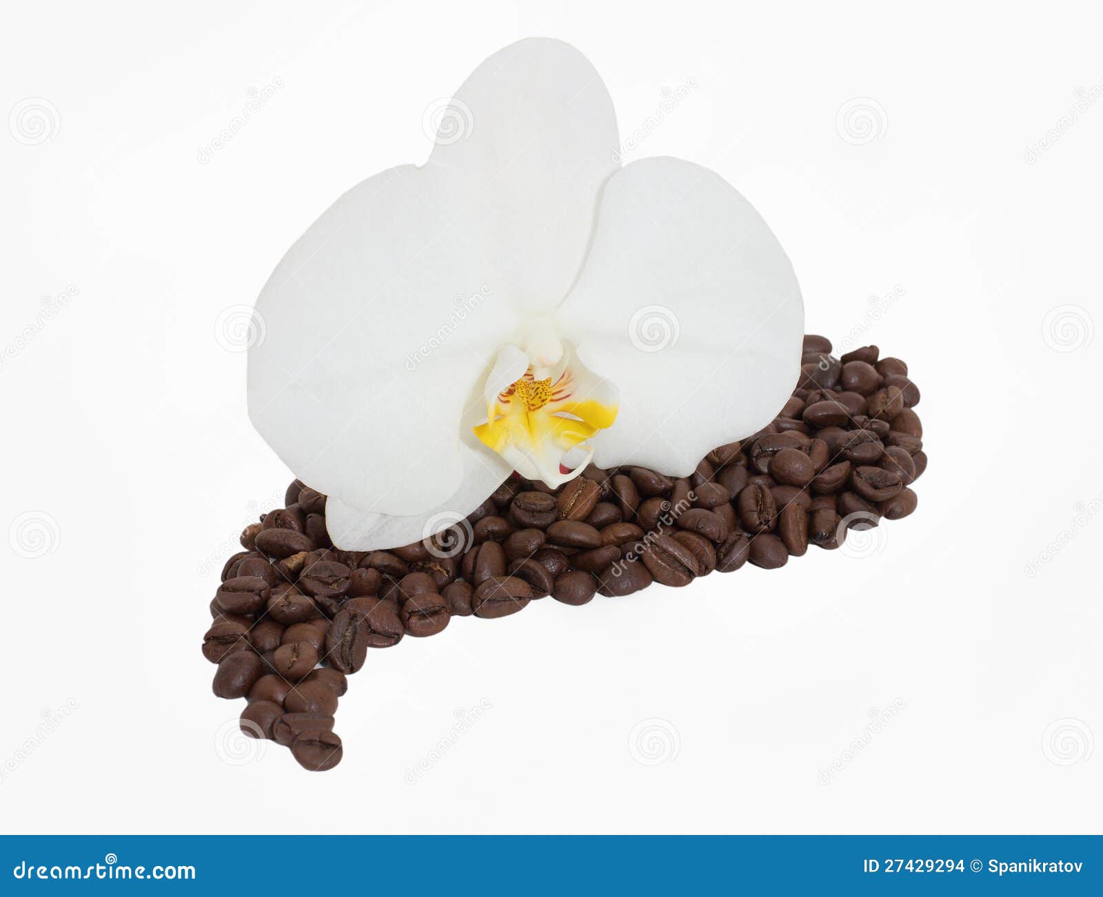 Orchid on black coffee stock photo. Image of black, fried - 27429294