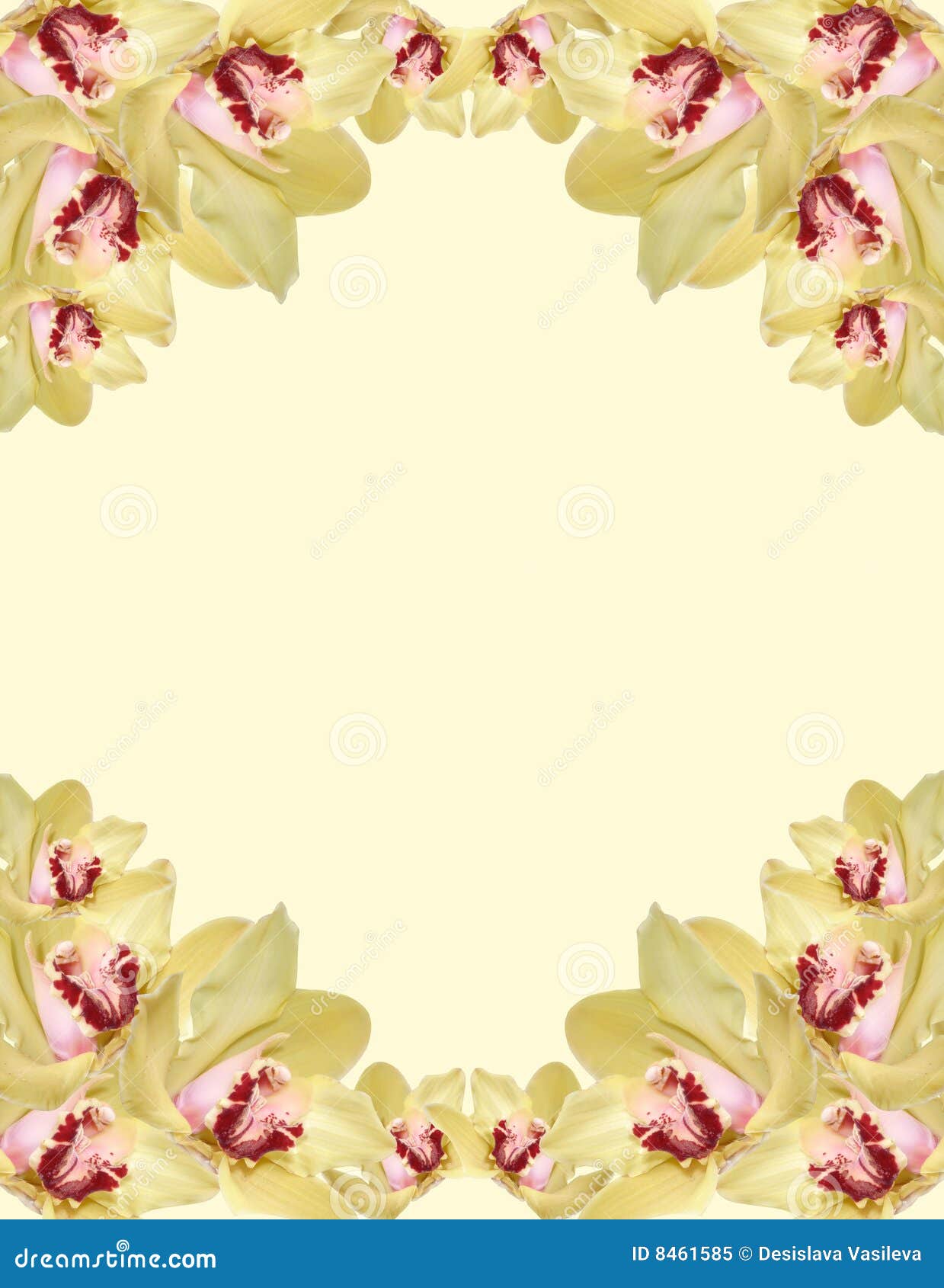 Orchid border stock illustration. Illustration of celebrate - 8461585