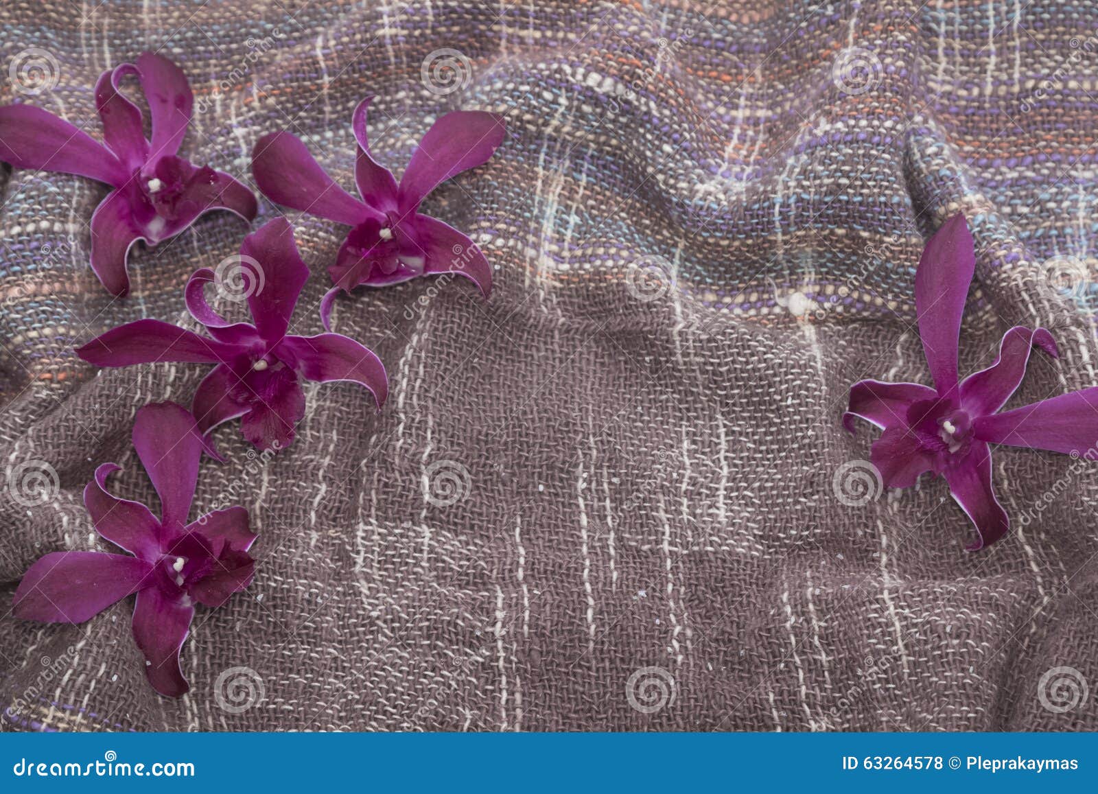 Orchid on cotton fabric stock photo. Image of freshness - 63264578