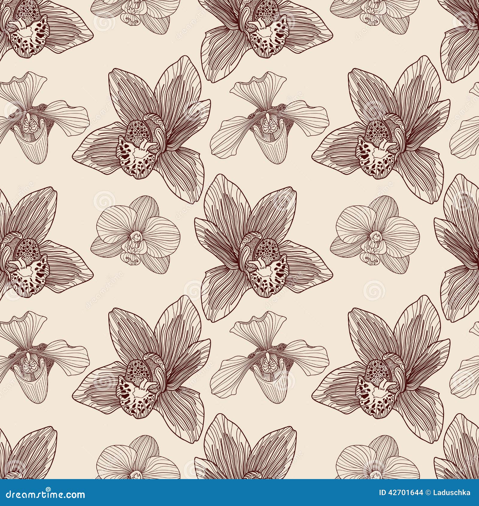 Orchid Engraving Vector Illustration | CartoonDealer.com #42700514