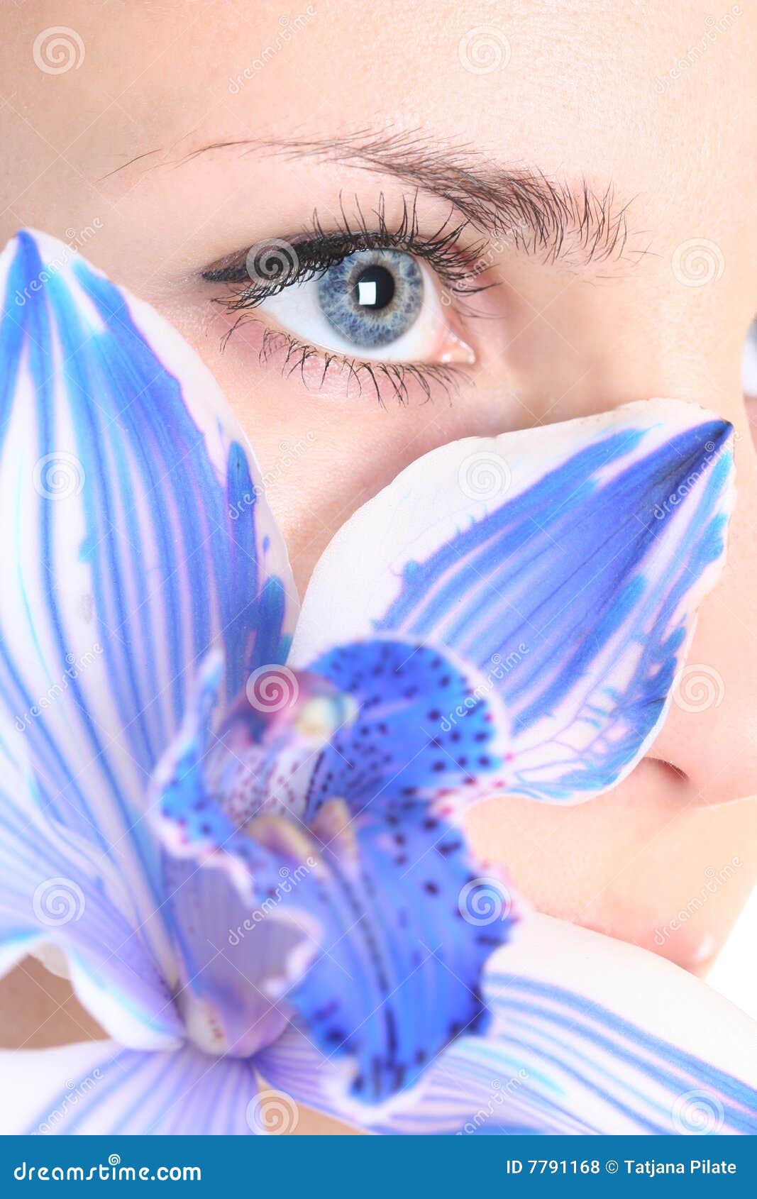 Orchid and eye stock photo. Image of human, eyes, beautiful - 7791168