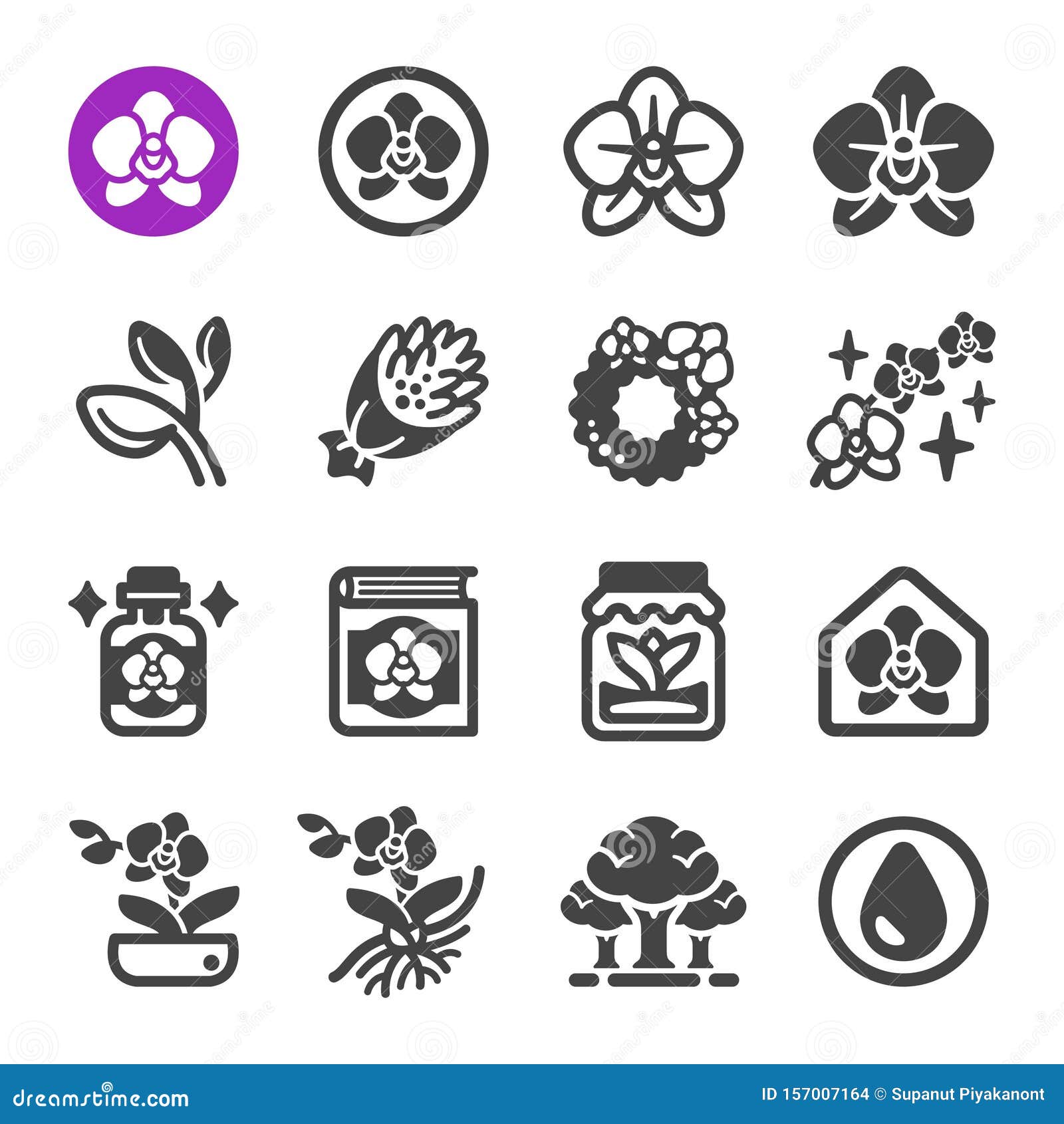 Orchid icon set stock vector. Illustration of element - 157007164