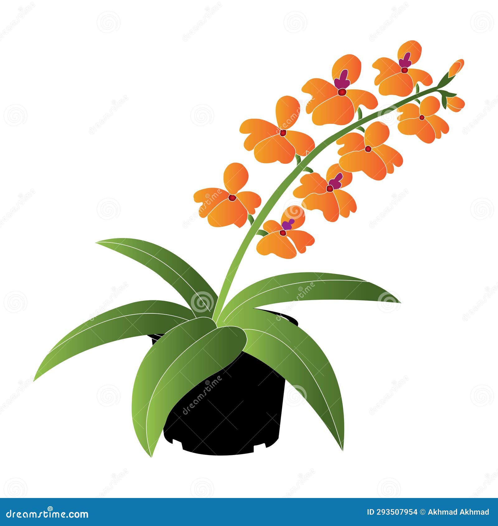 Orchid flower icon stock vector. Illustration of delicate - 293507954