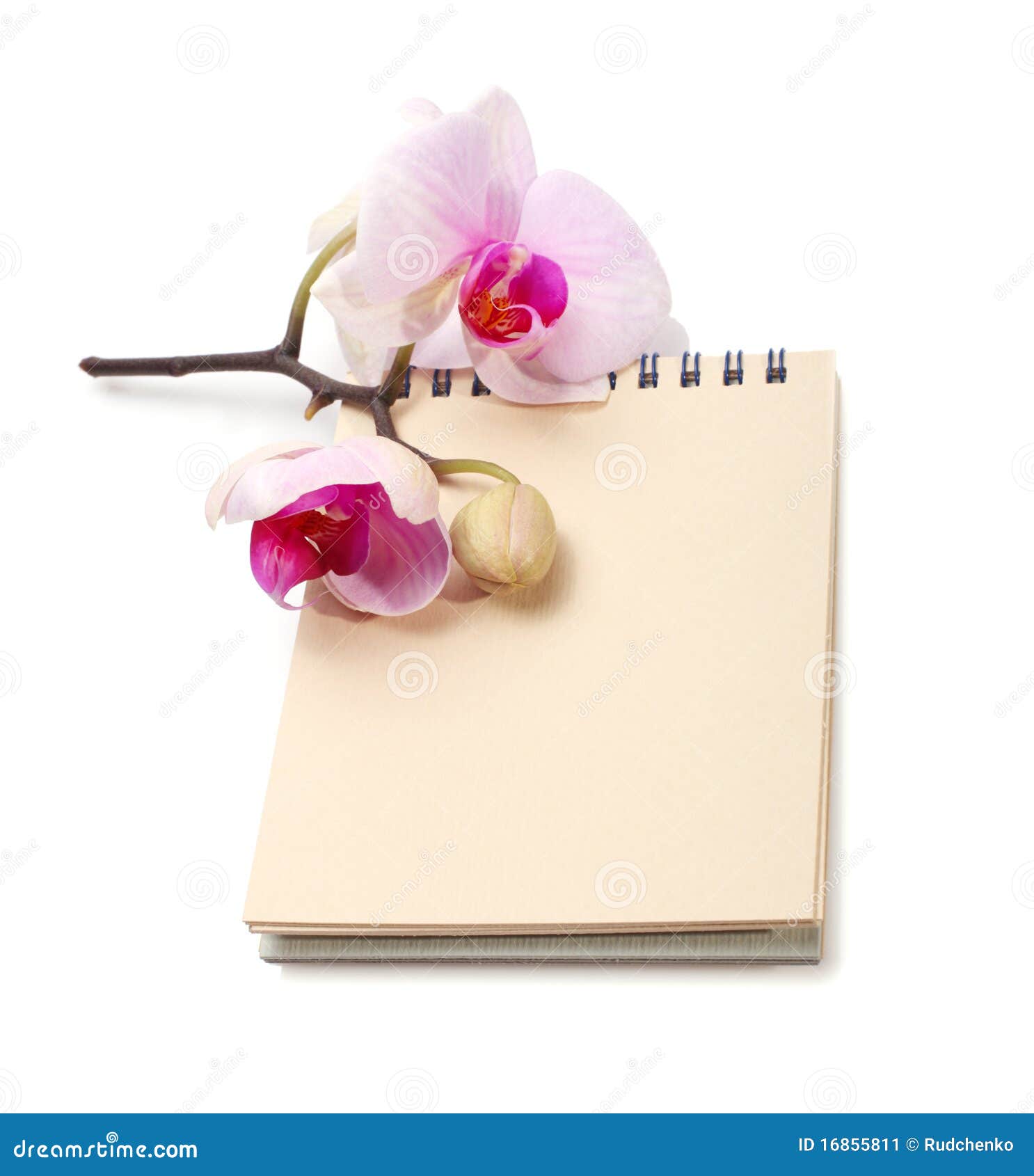 Orchid flower and notepad stock image. Image of petal - 16855811