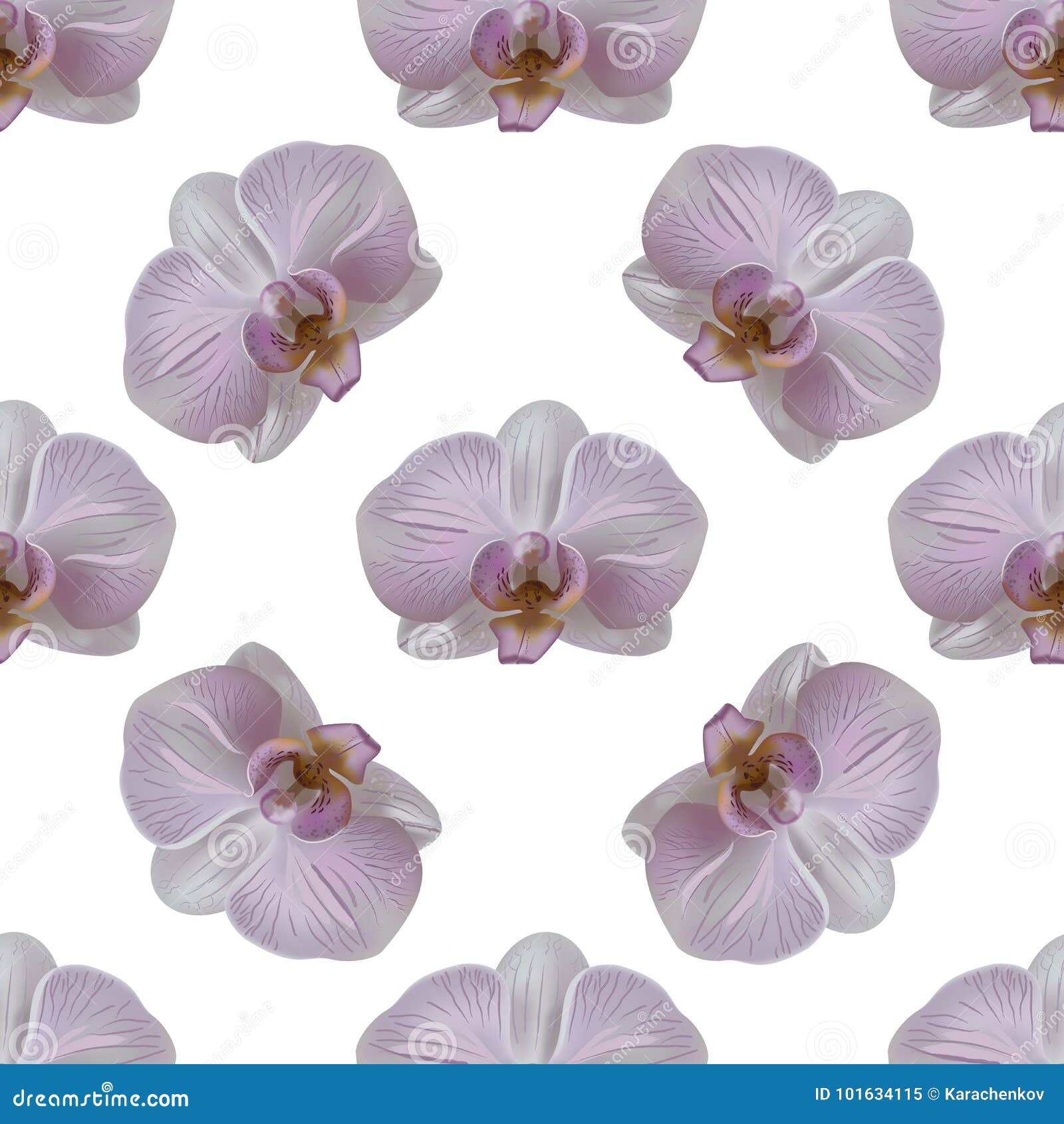 Orchid Flower Seamless Pattern Stock Vector Illustration Of Nature